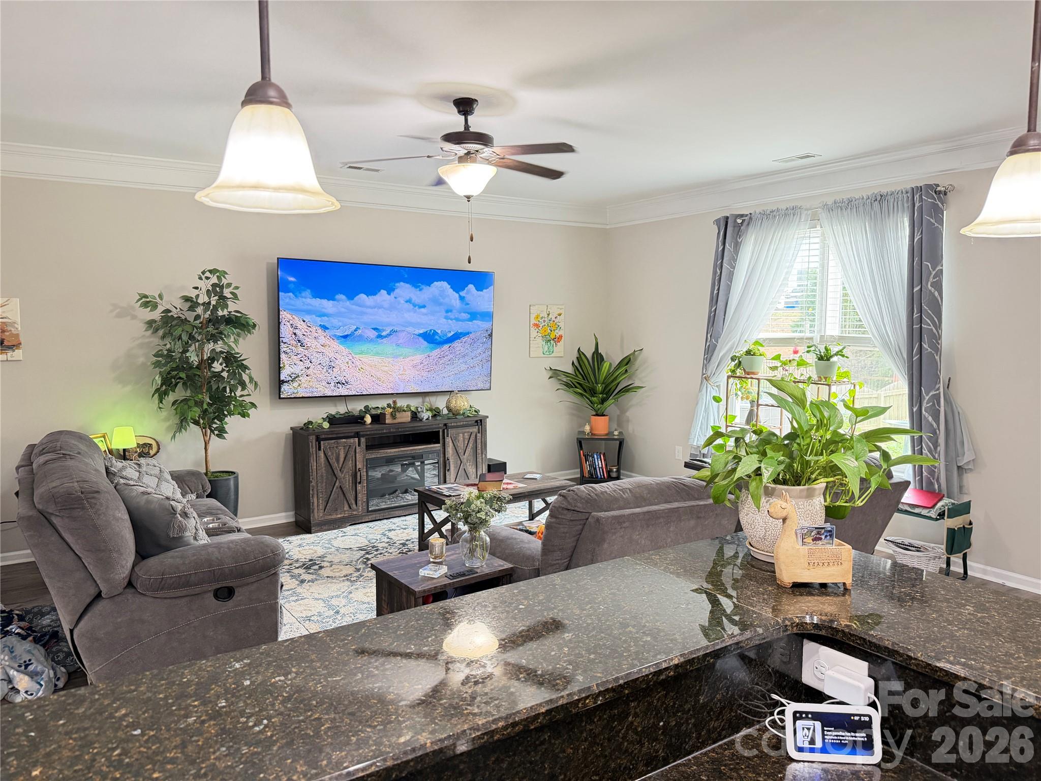 6105 Lighted Way Lane, Indian Trail, NC - photo 8 of 41
