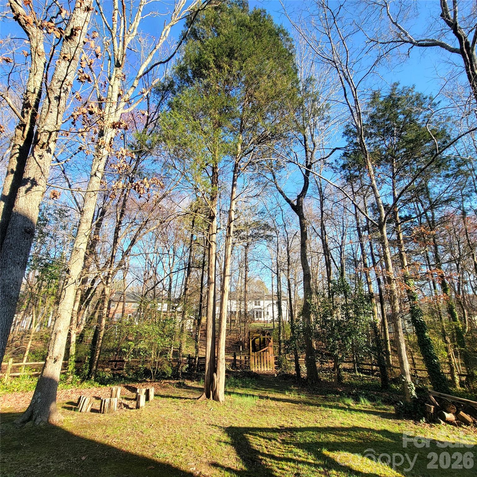 1009 Hunley Hill Court, Matthews, NC - photo 34 of 46