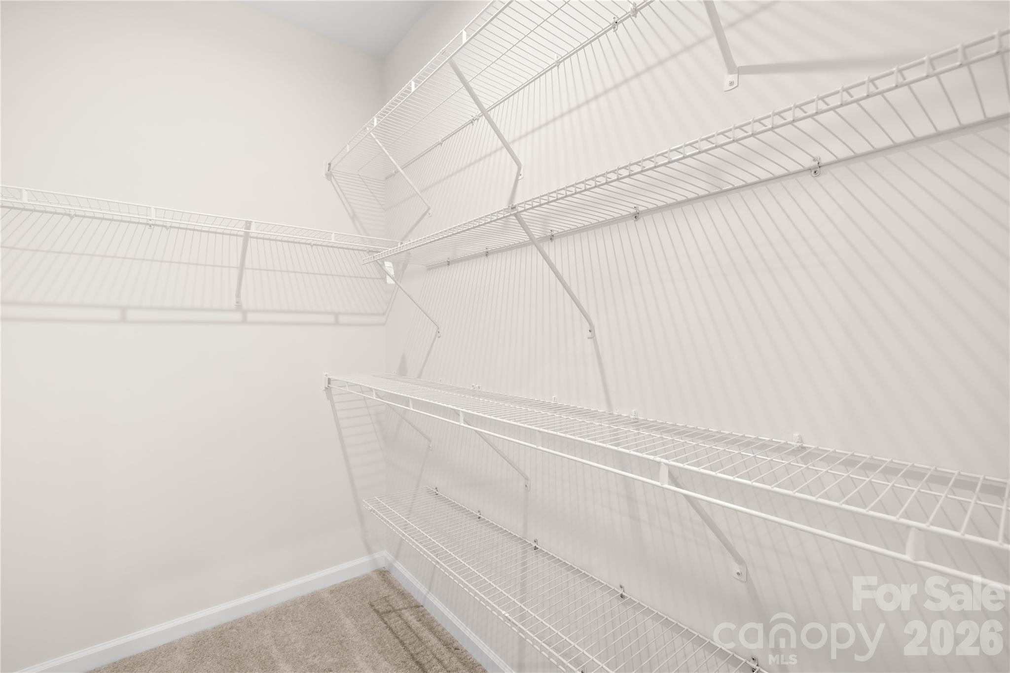 2620 Grantham Place Drive, Fort Mill, SC - photo 15 of 31