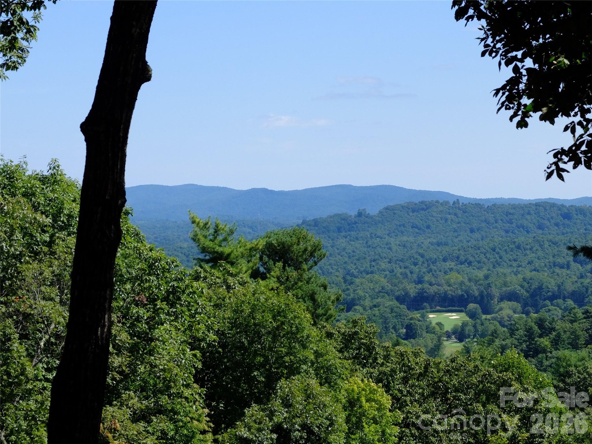 Photo 2 of 258 DALHOUSIE Court, Flat Rock, NC