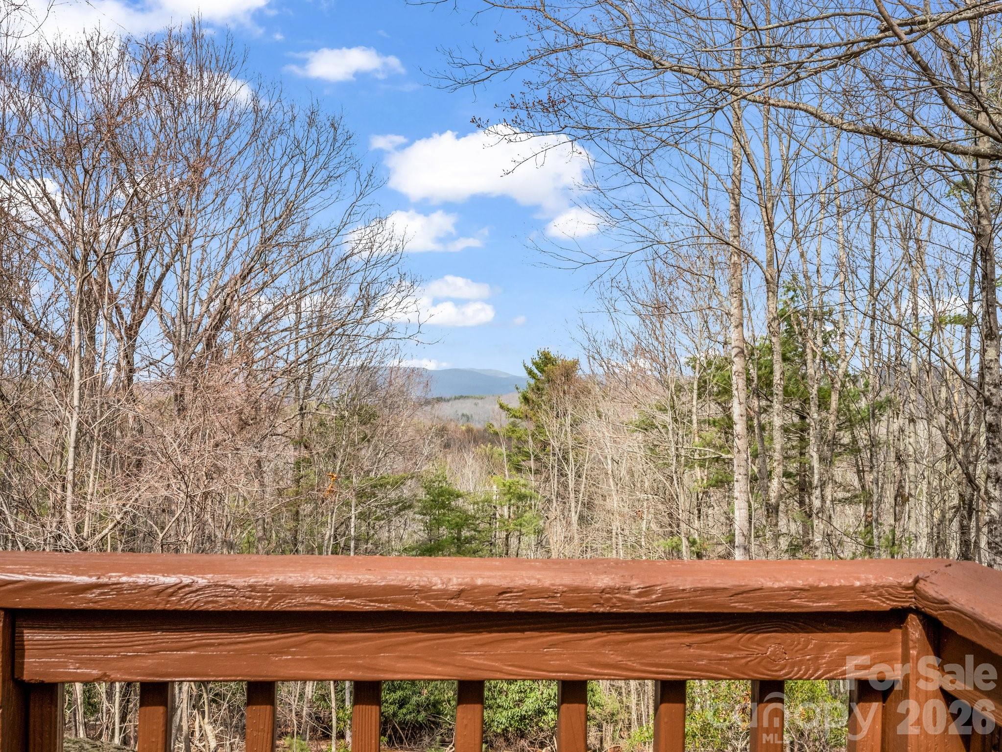 209 Walnut Ridge Road, Brevard, NC - photo 32 of 43