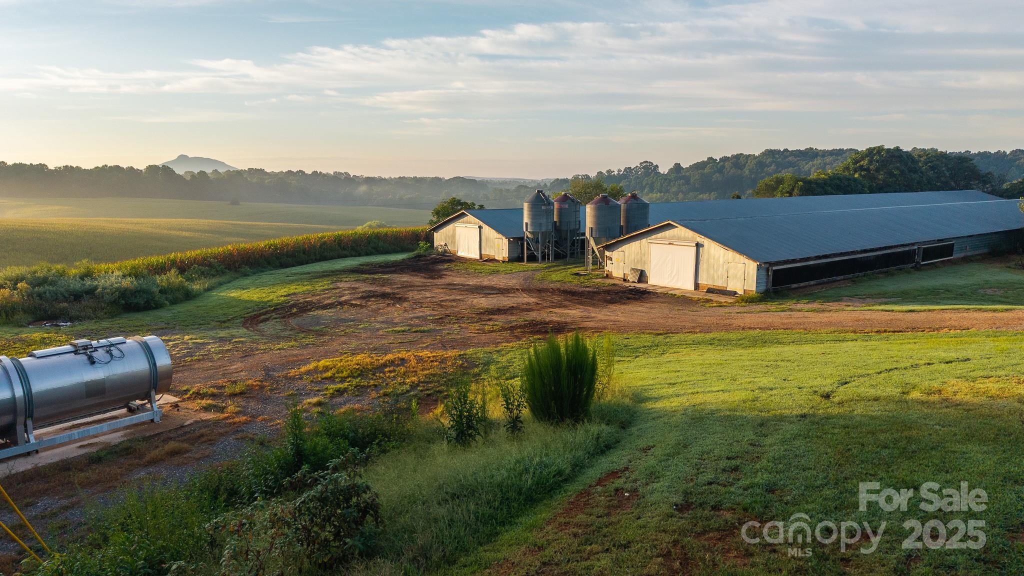 167 Buck Hollow Trail, Ararat, NC - photo 25 of 45