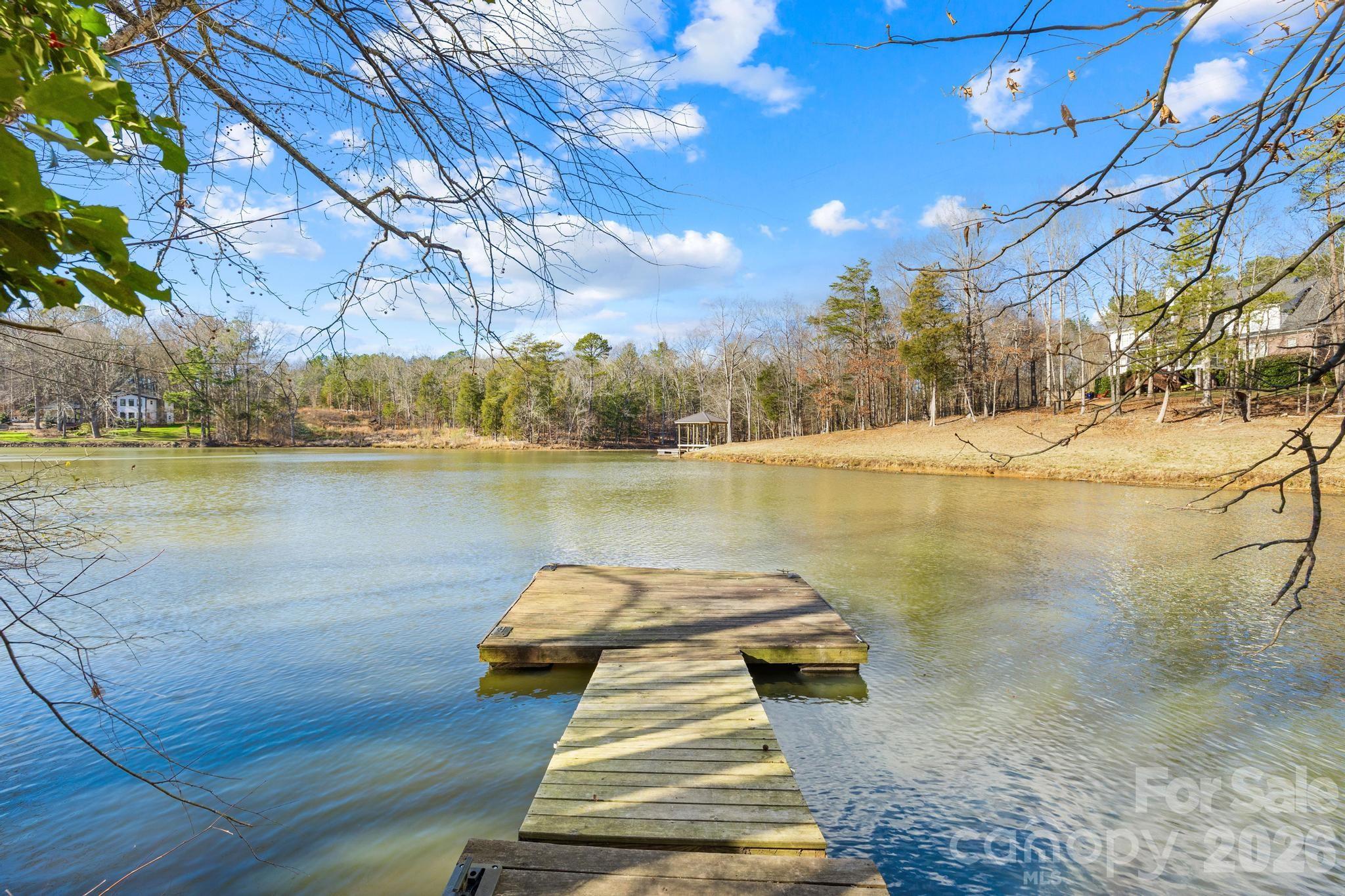 294 Carroll Cove, Clover, SC - photo 20 of 49