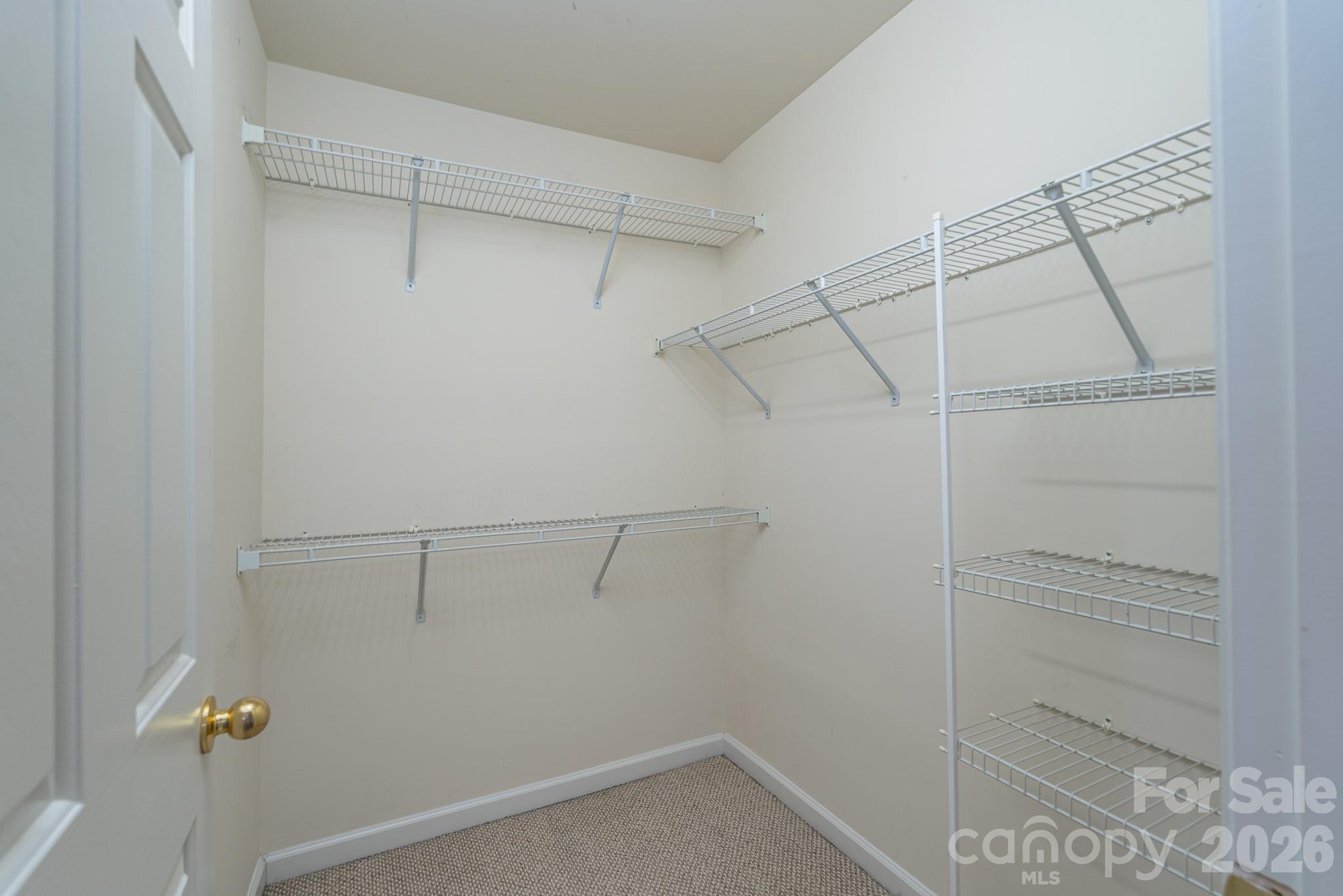 115 Autumn Falls Drive34, Lake Wylie, SC - photo 30 of 32