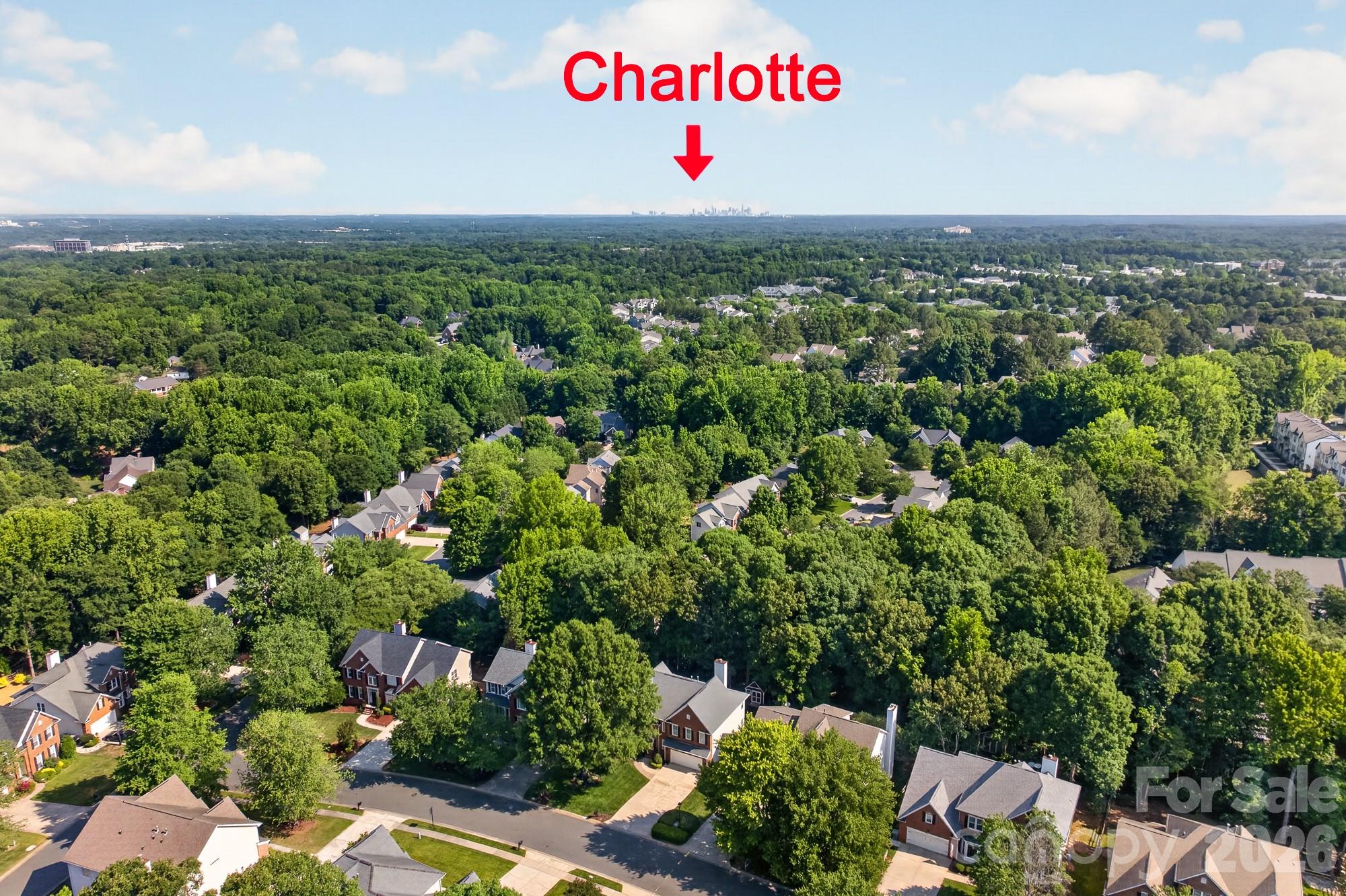 8812 Kingston Forest Drive, Charlotte, NC - photo 4 of 37