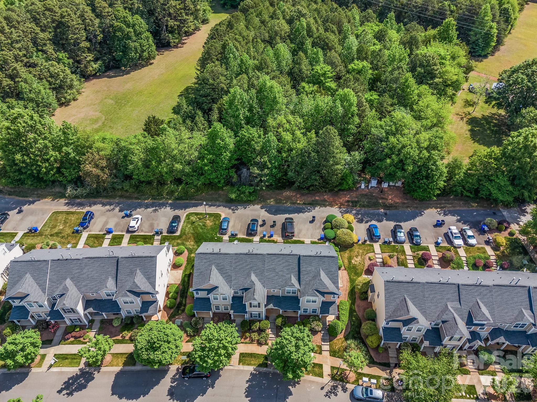 17732 Caldwell Track Drive, Cornelius, NC - photo 3 of 24