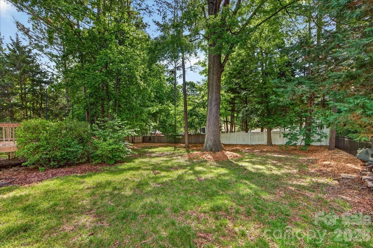 6410 Latta Springs Circle, Huntersville, NC - photo 36 of 49