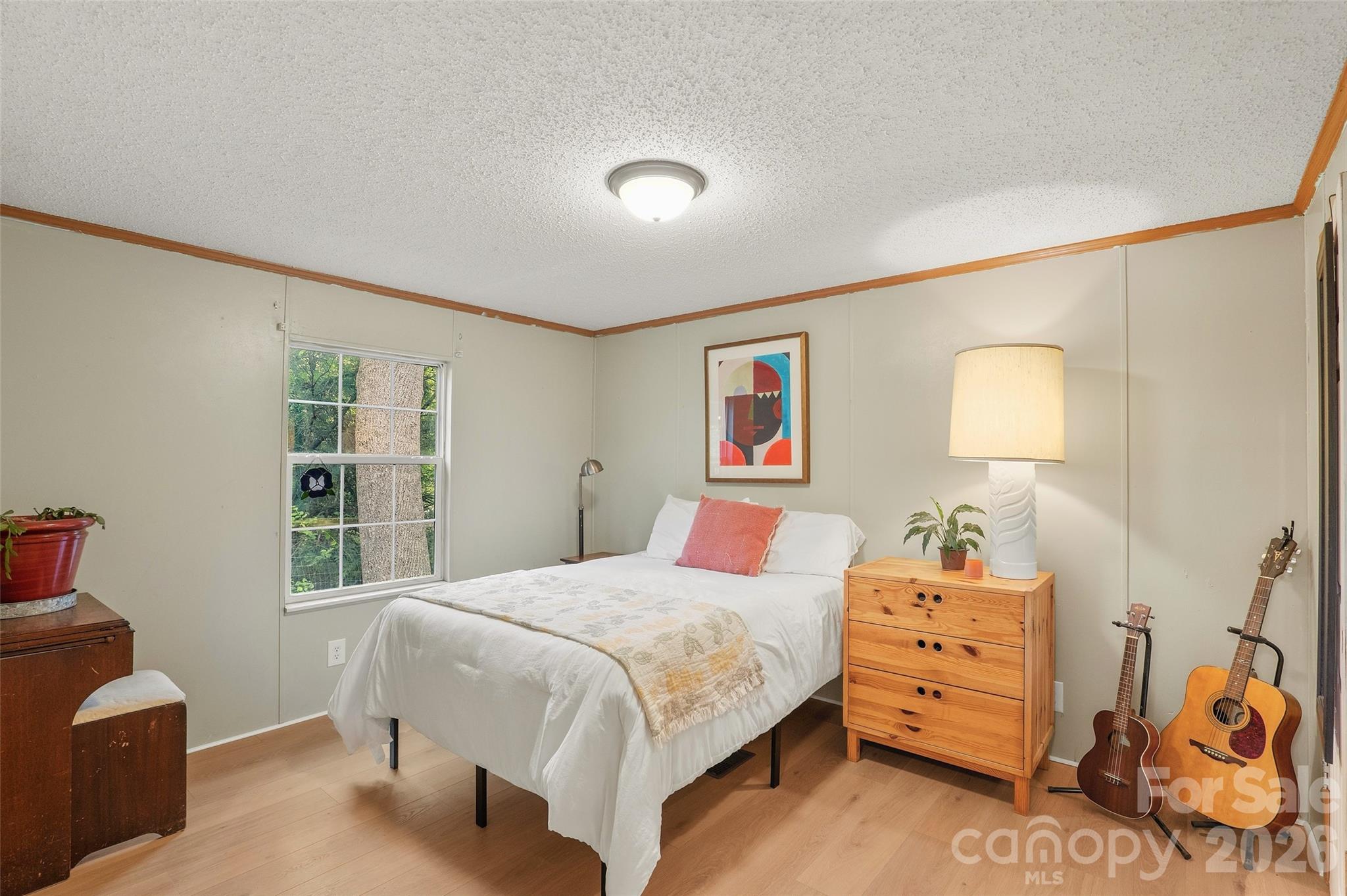 611 Turkey Creek Terrace, Leicester, NC - photo 30 of 43