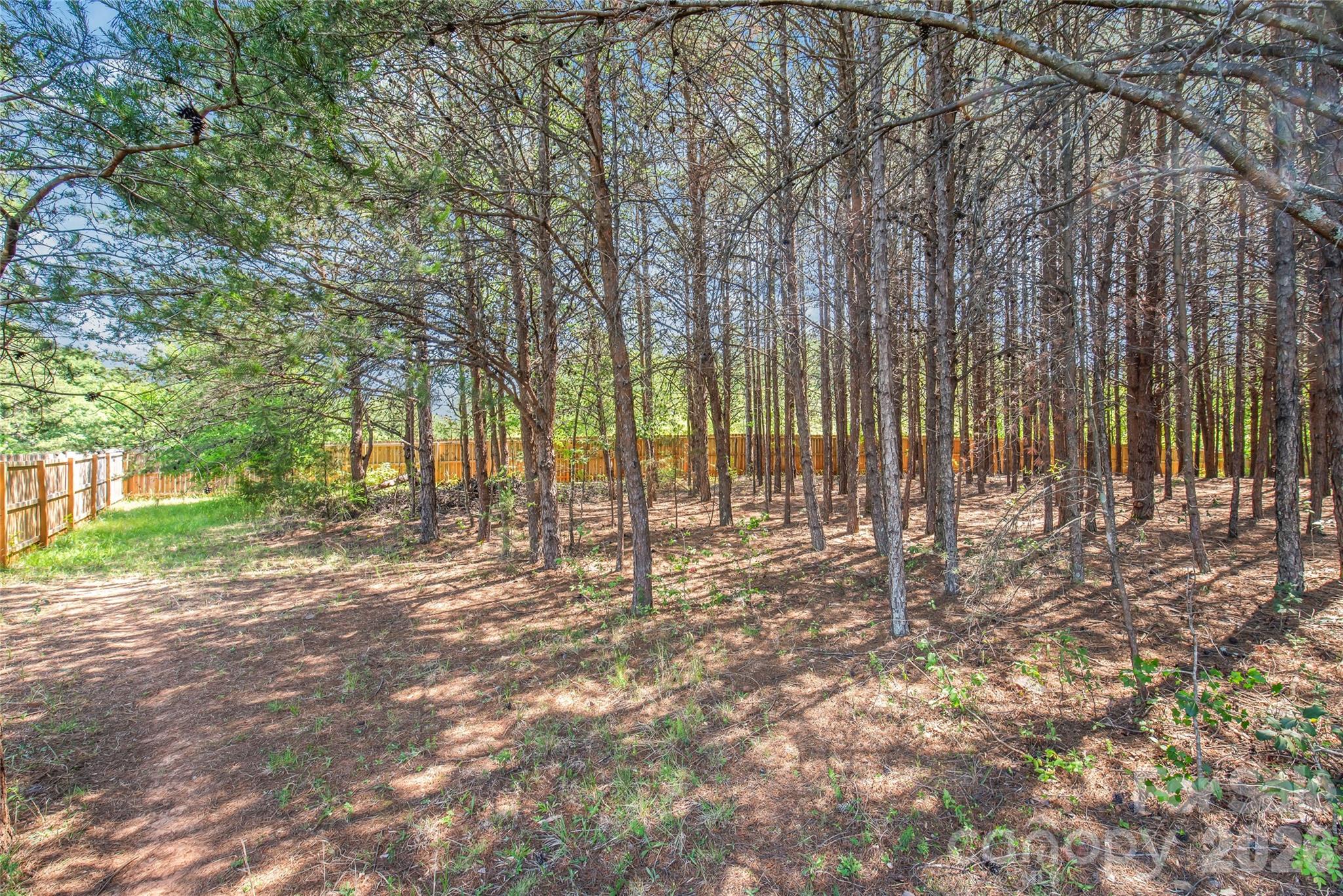 116 Damon Drive, Shelby, NC - photo 37 of 43