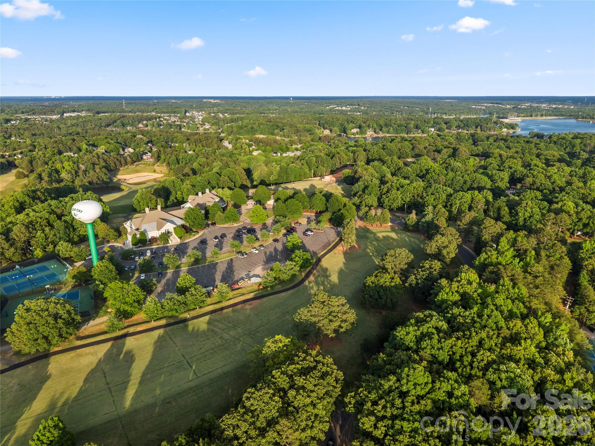3072 Point Clear Drive, Tega Cay, SC - photo 37 of 48