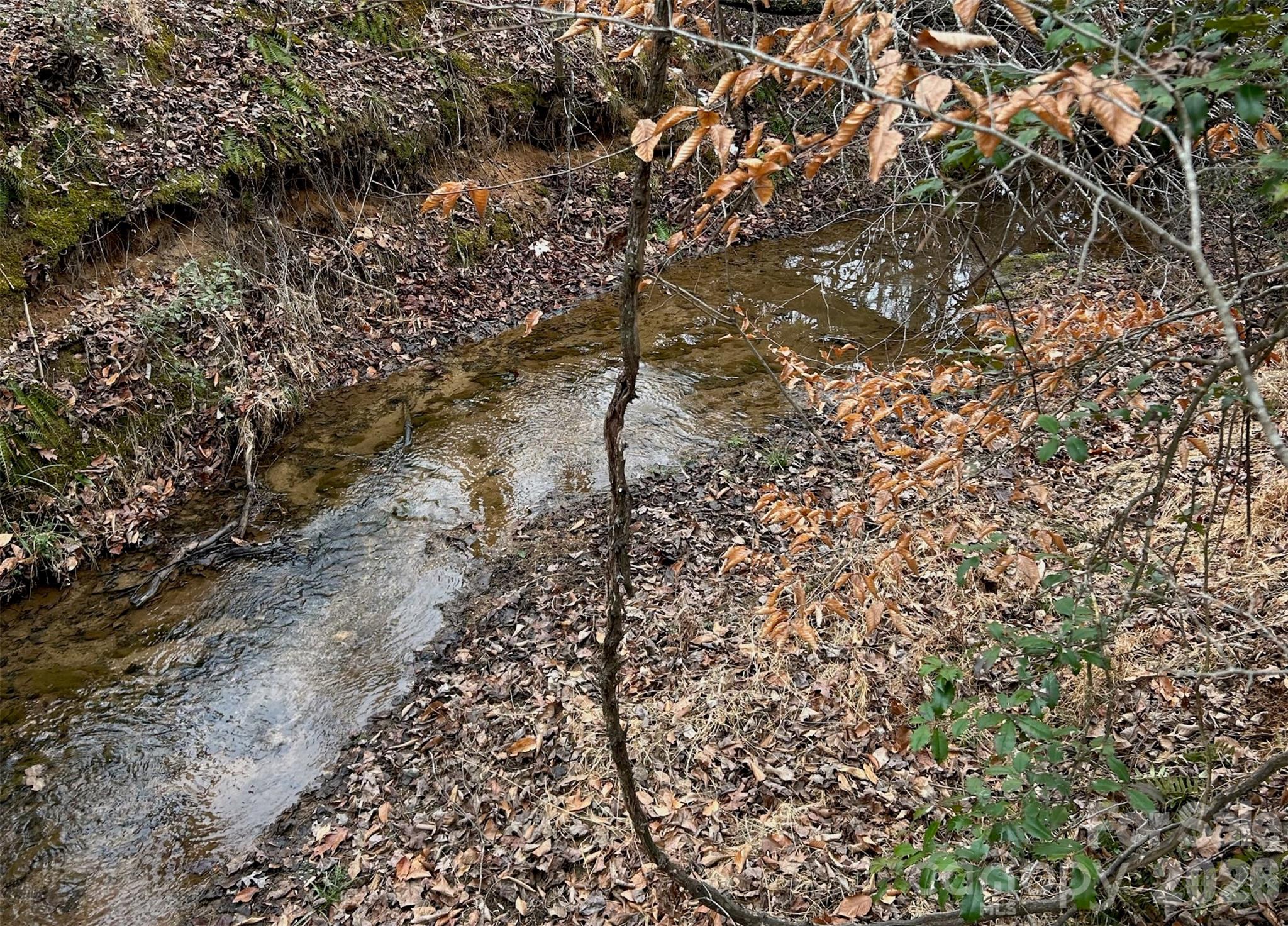 365 Guernsey Lane, Roebuck, SC - photo 12 of 24