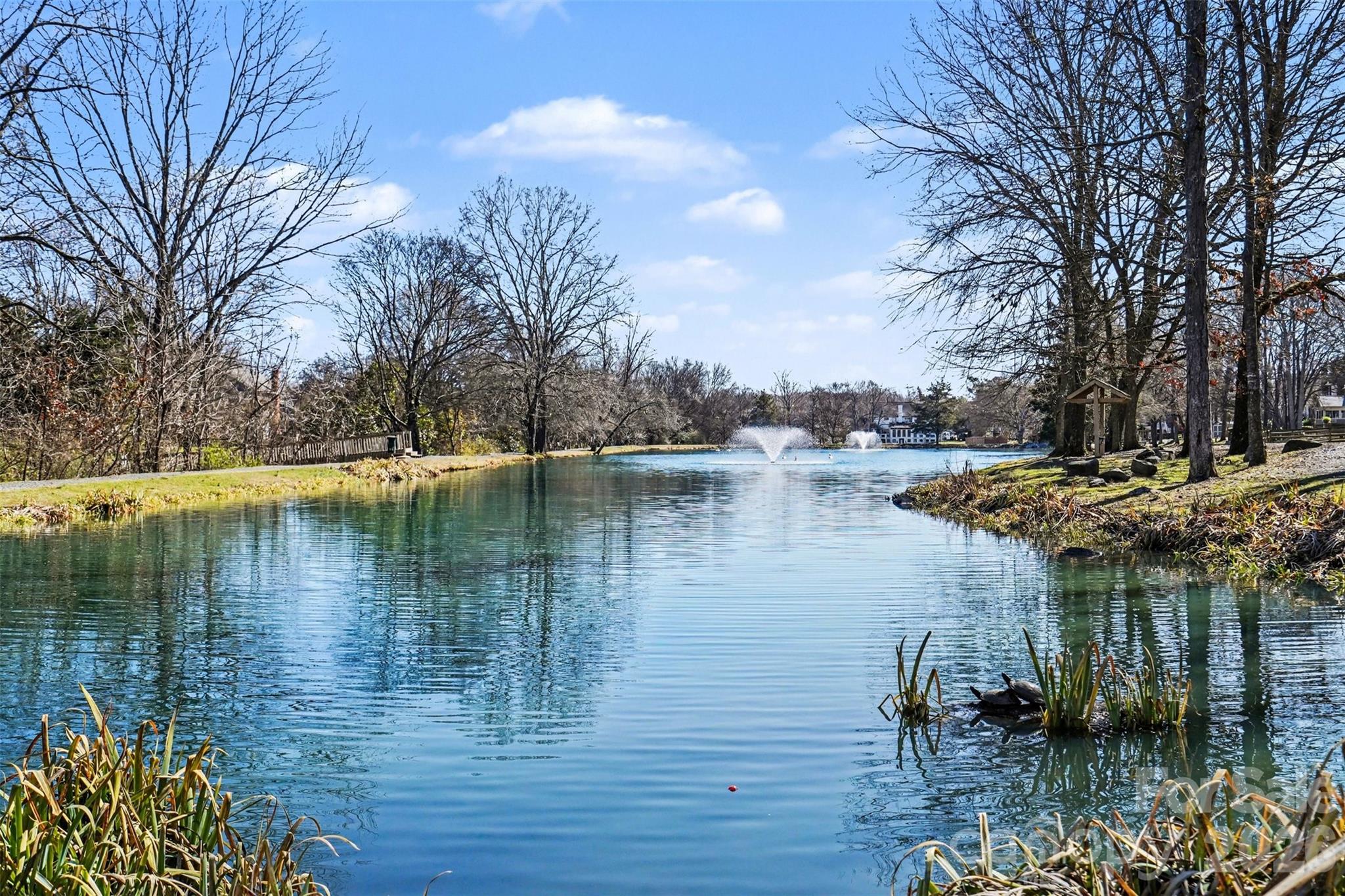 Photo 46 of 14115 Canvasback Drive, Charlotte, NC