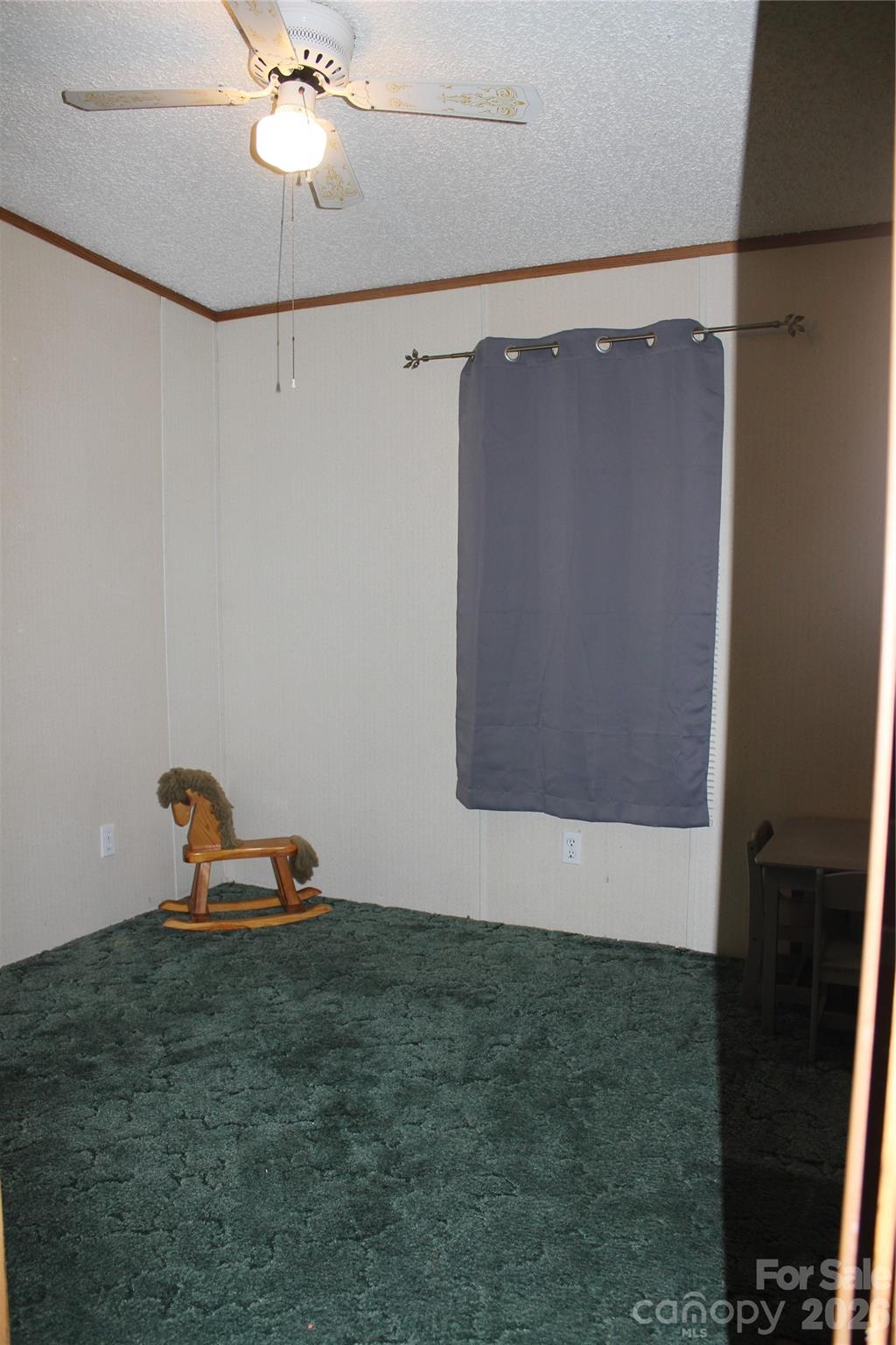 249 J L Green Lane, Pageland, SC - photo 29 of 35