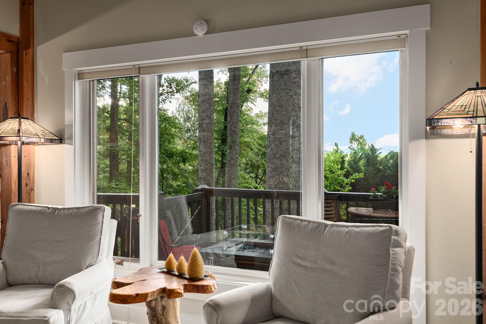 107 Buffalo Trail, Asheville, NC - photo 8 of 49