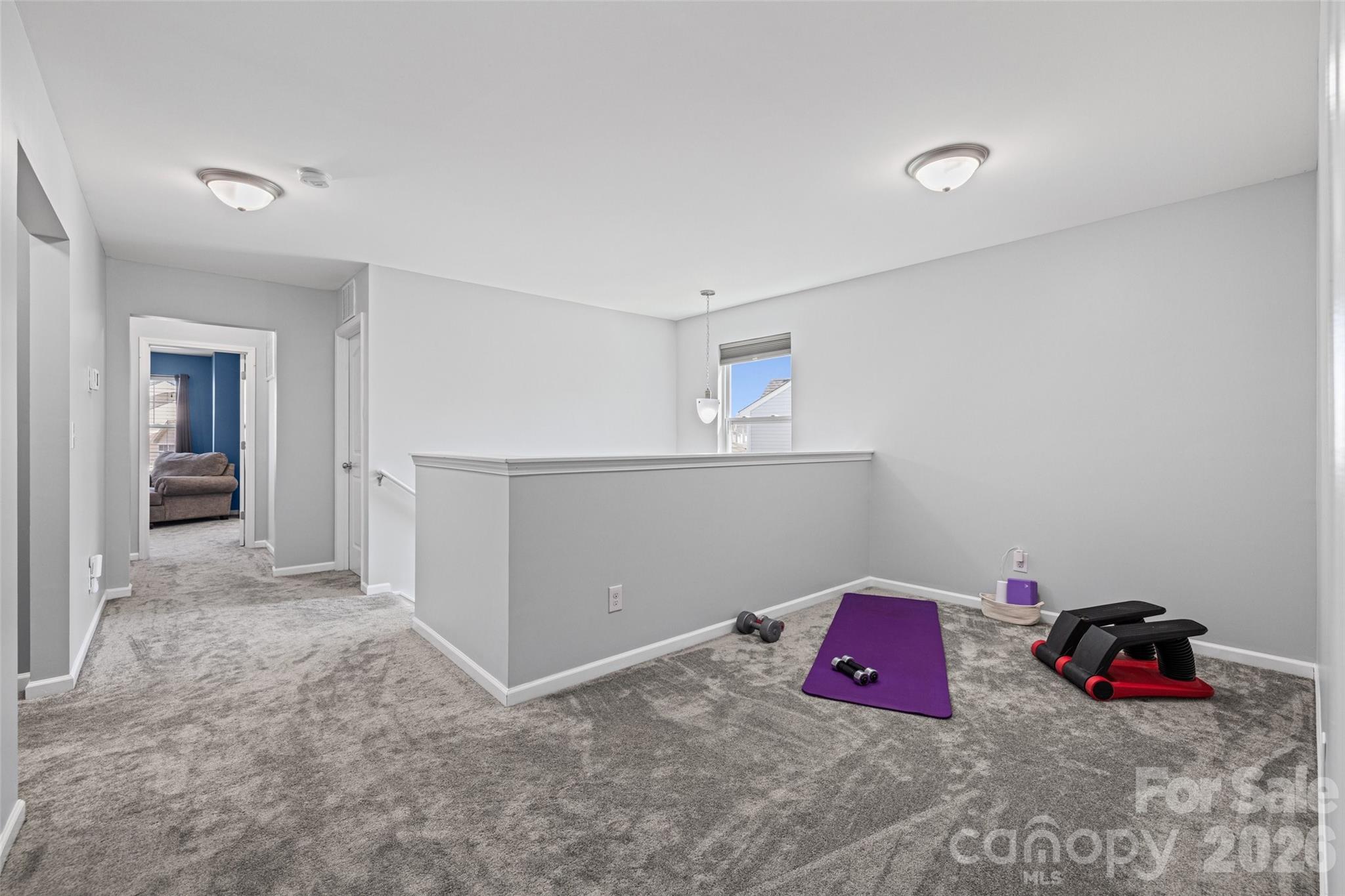 4643 Yarrow Street, Rock Hill, SC - photo 13 of 28