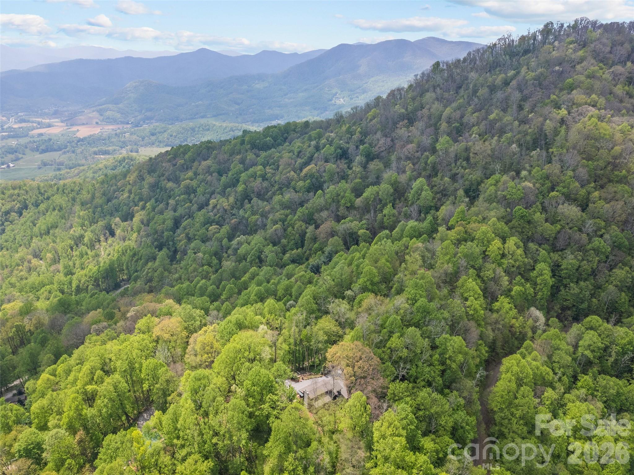 2863 Heath Peak Road, Waynesville, NC - photo 16 of 49