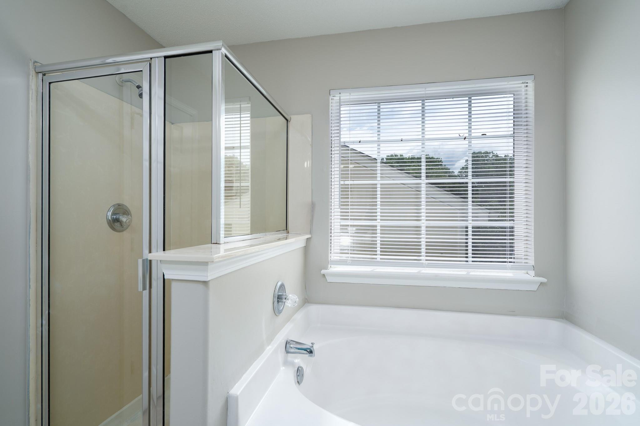 Photo 19 of 8016 Bronze Pike Drive, Charlotte, NC