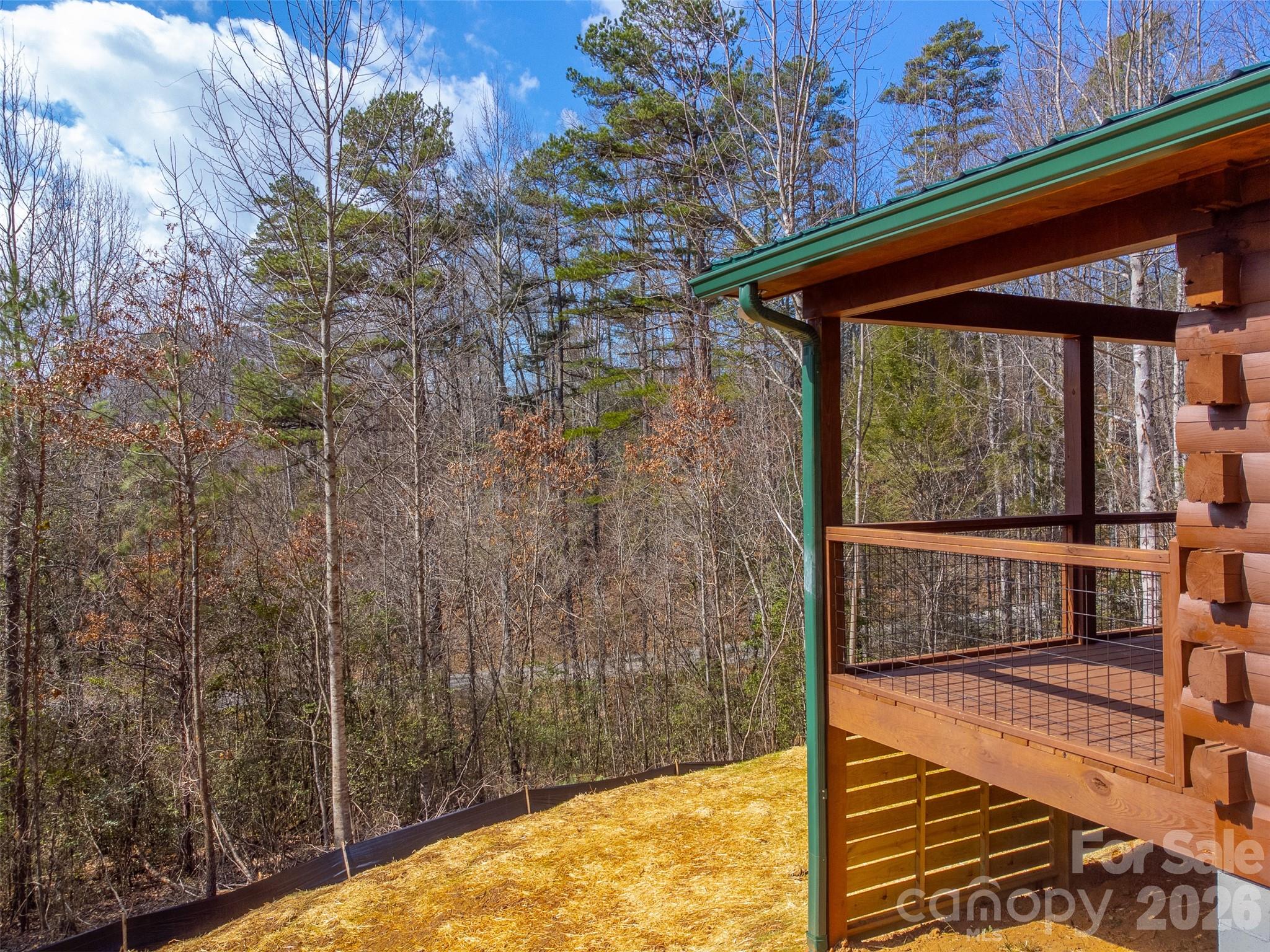 677 Ridgetop Circle, Whittier, NC - photo 37 of 49