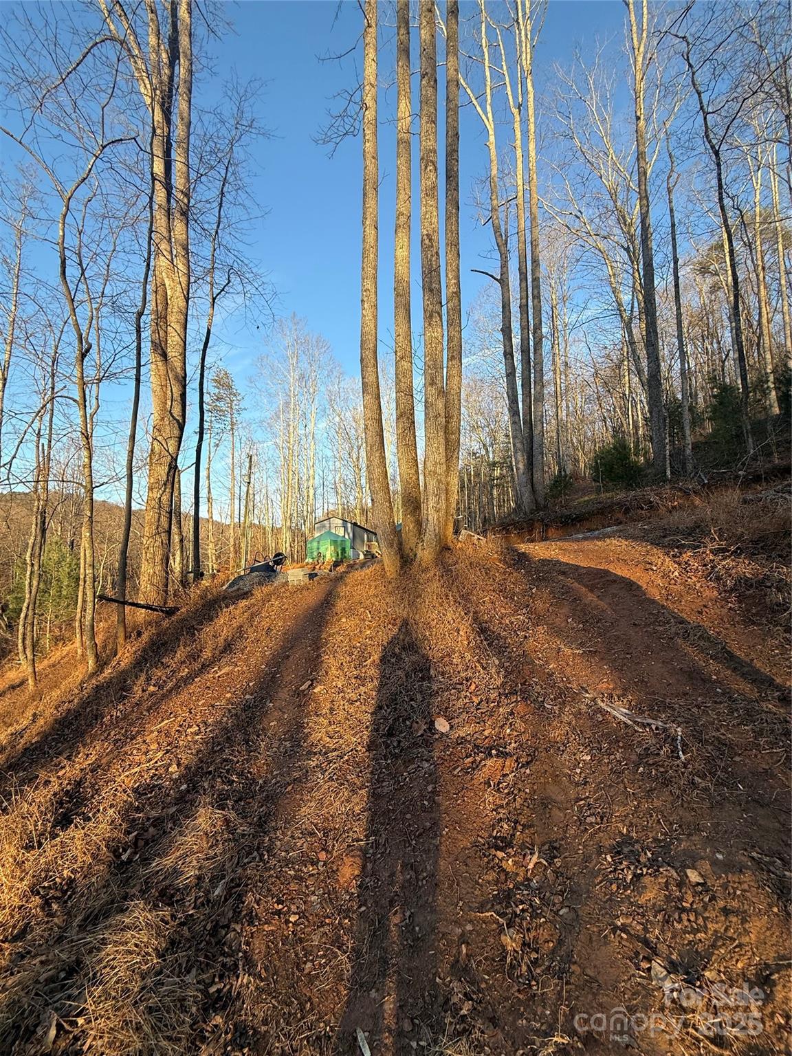 2828 E Pine Street, Mount Airy, NC - photo 24 of 31