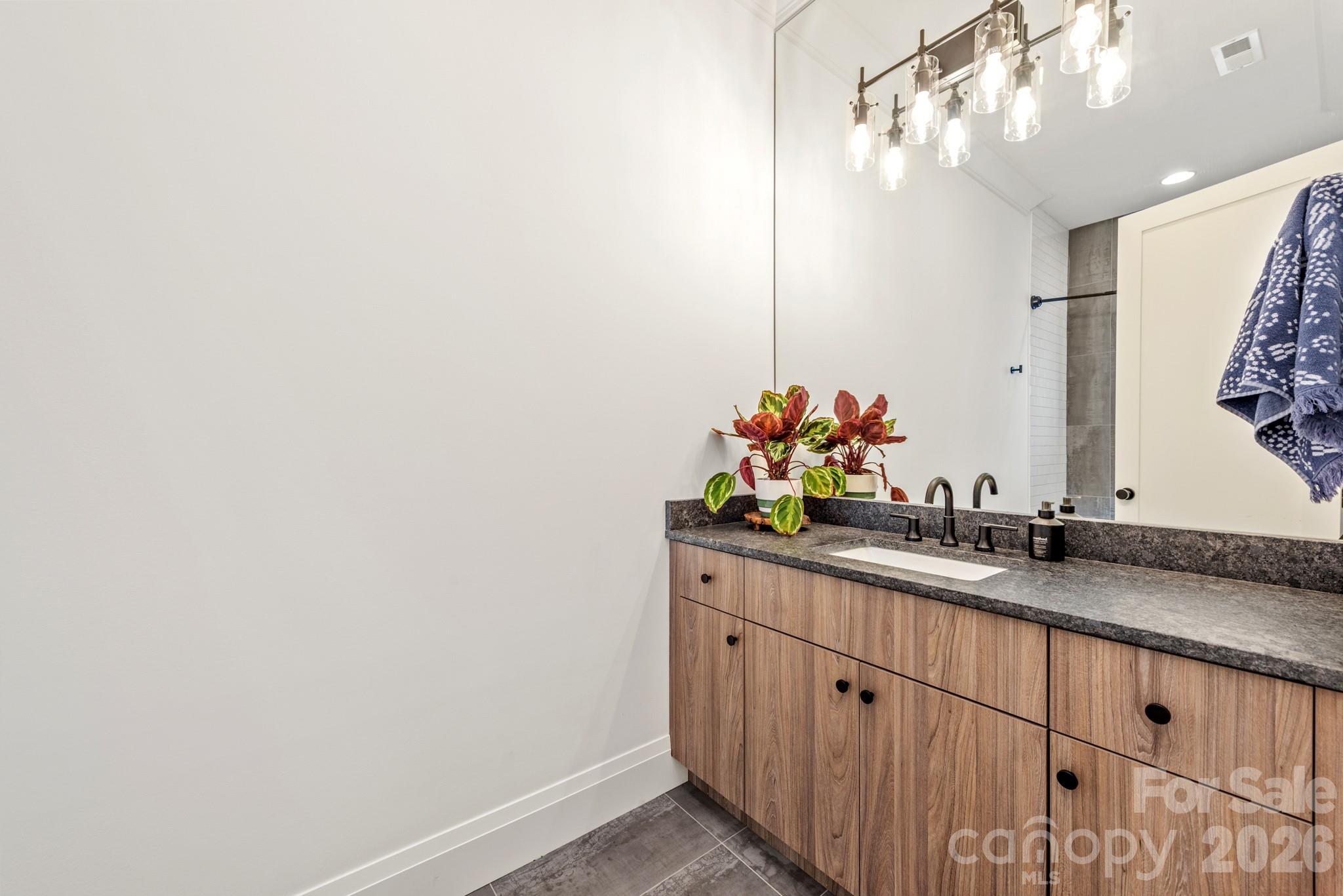 313 Solomon Street, Charlotte, NC - photo 36 of 46