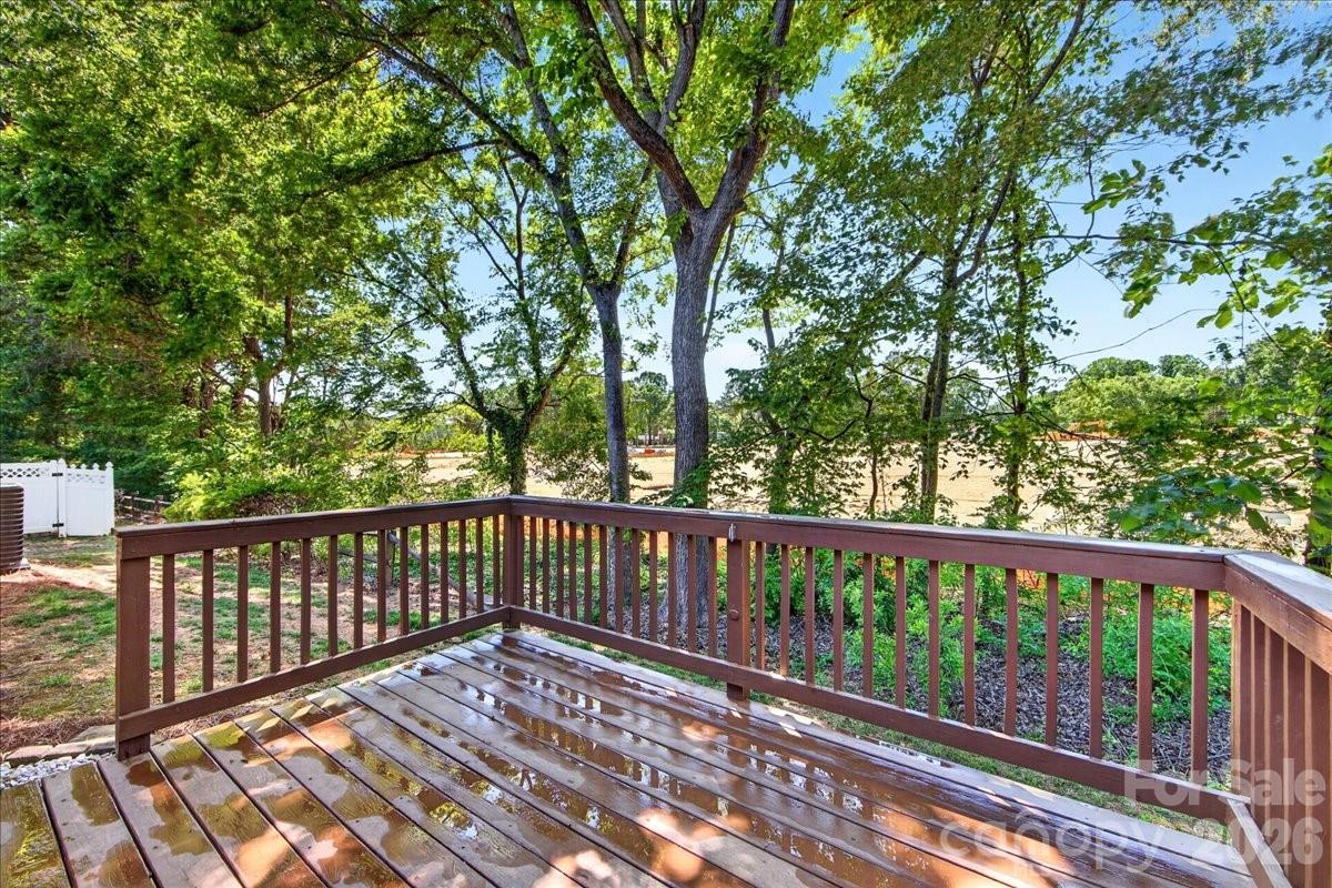 6804 Cinnamon Circle, Mint Hill, NC - photo 42 of 49