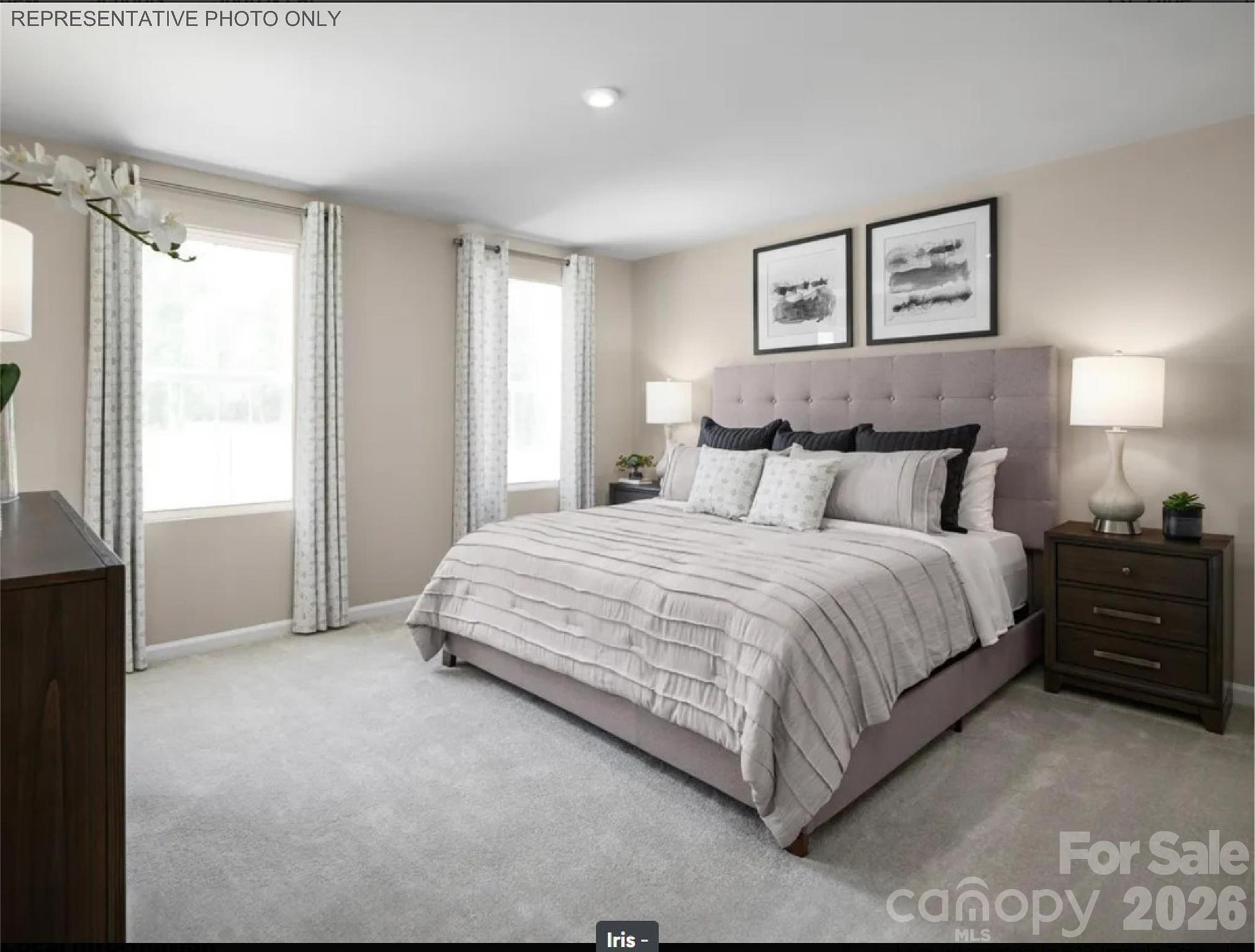 Photo 4 of 5313 McCallum Meadows Drive, Charlotte, NC