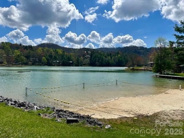 209 Walnut Ridge Road, Brevard, NC - photo 40 of 43