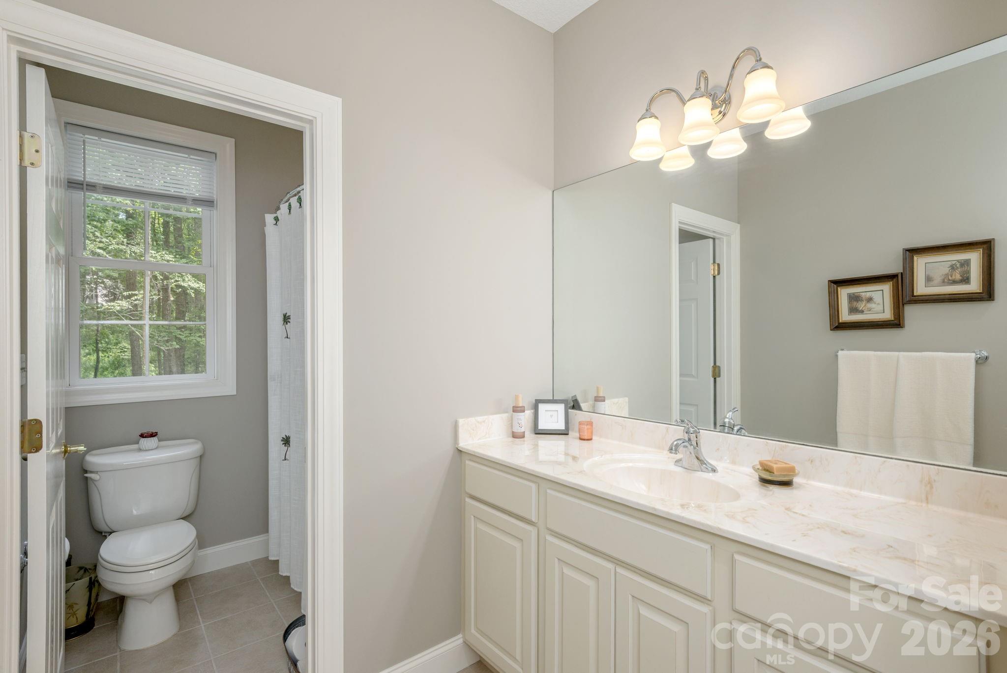 113 CHANCERY Court, Flat Rock, NC - photo 31 of 46