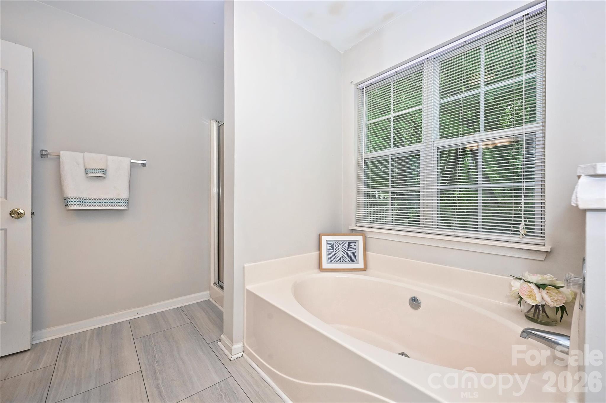 Photo 22 of 12048 Brownestone View Drive, Charlotte, NC