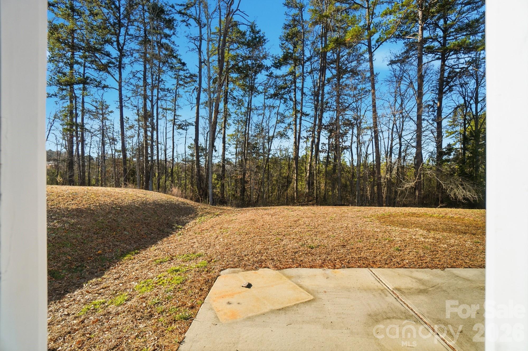 Photo 38 of 1000 Newfound Hollow Drive, Charlotte, NC