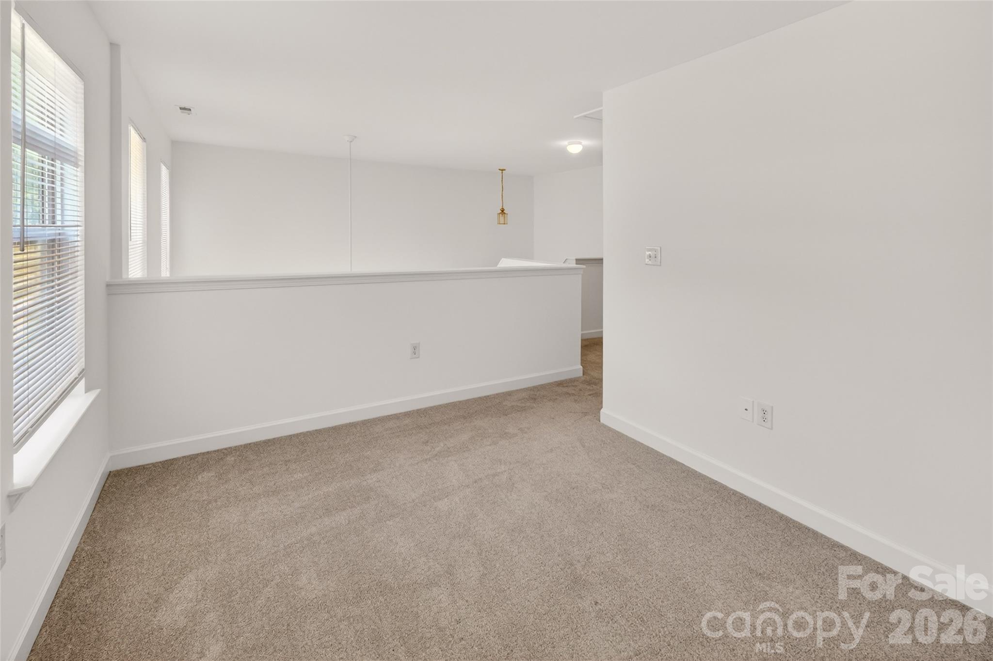 336 Doughton Lane, Charlotte, NC - photo 19 of 34