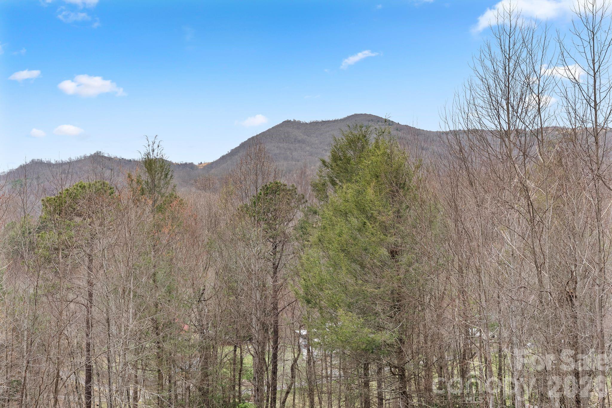 264 Moonbeam Lane, Clyde, NC - photo 38 of 47