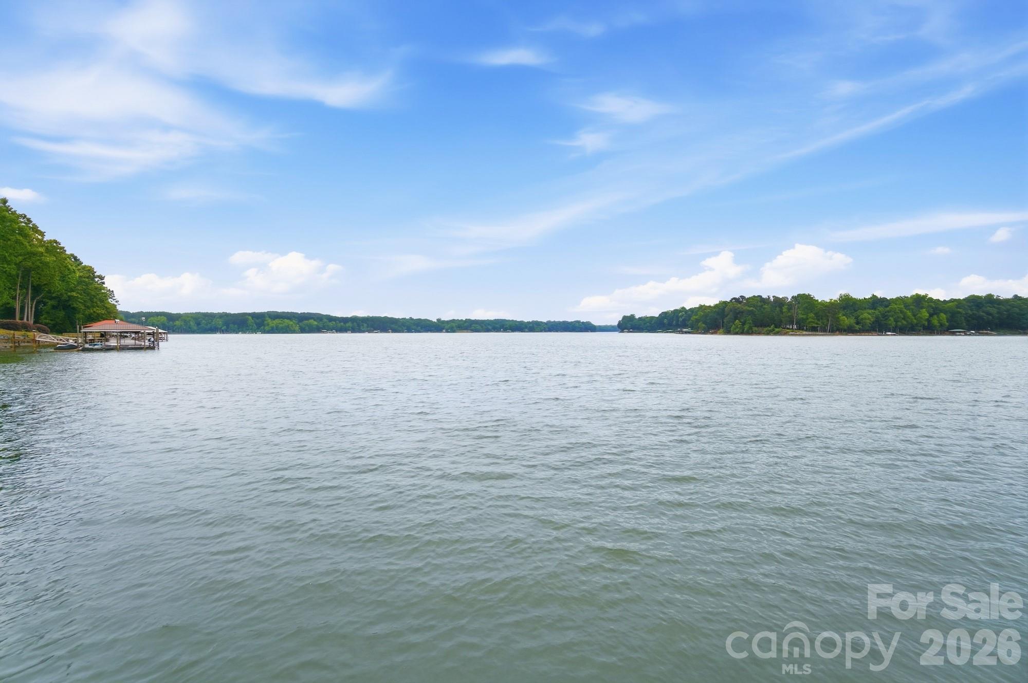 221 Whiterock Drive, Mount Holly, NC - photo 5 of 49