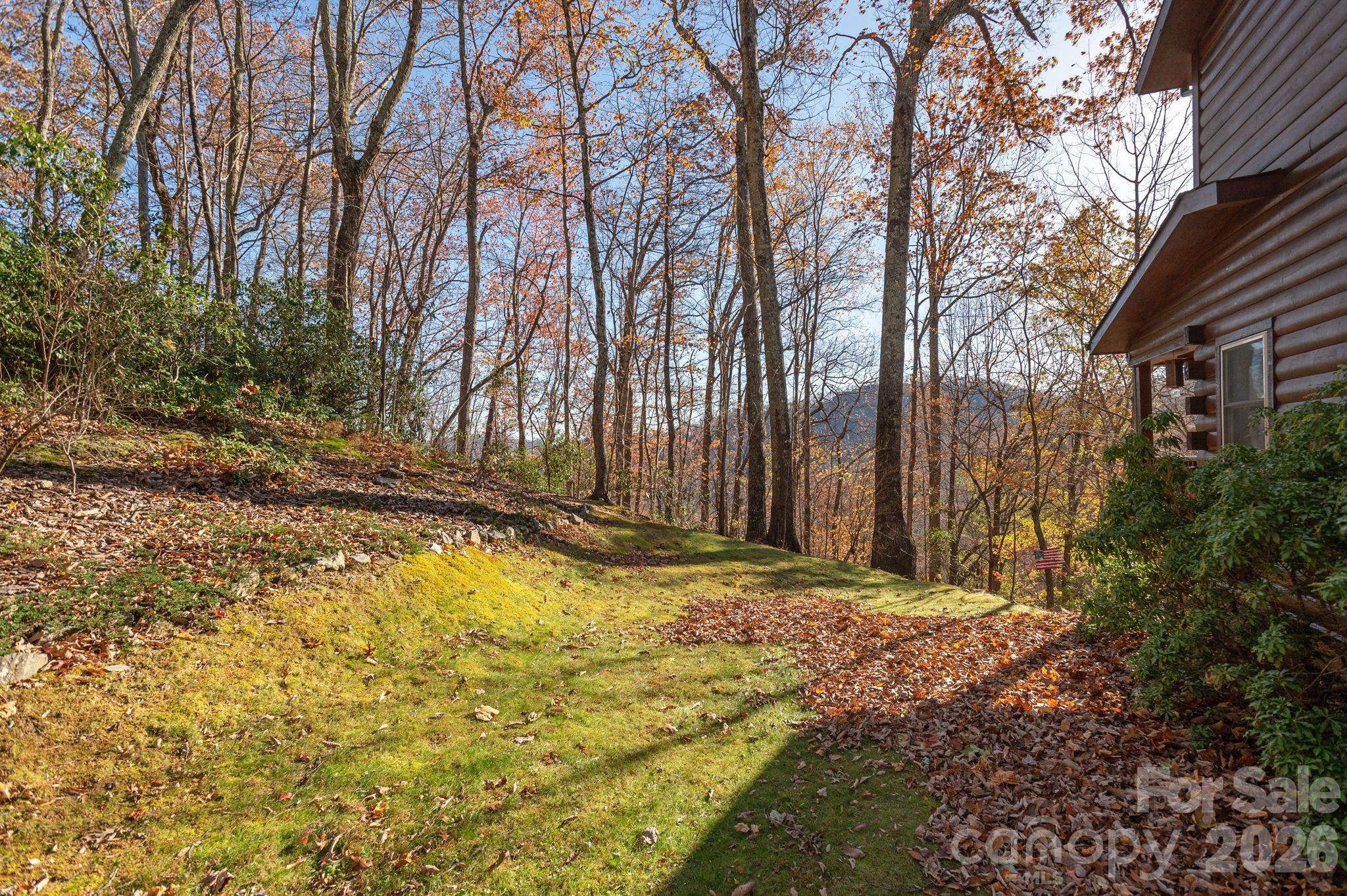 48 & 50 Wild Turkey Run, Black Mountain, NC - photo 37 of 48