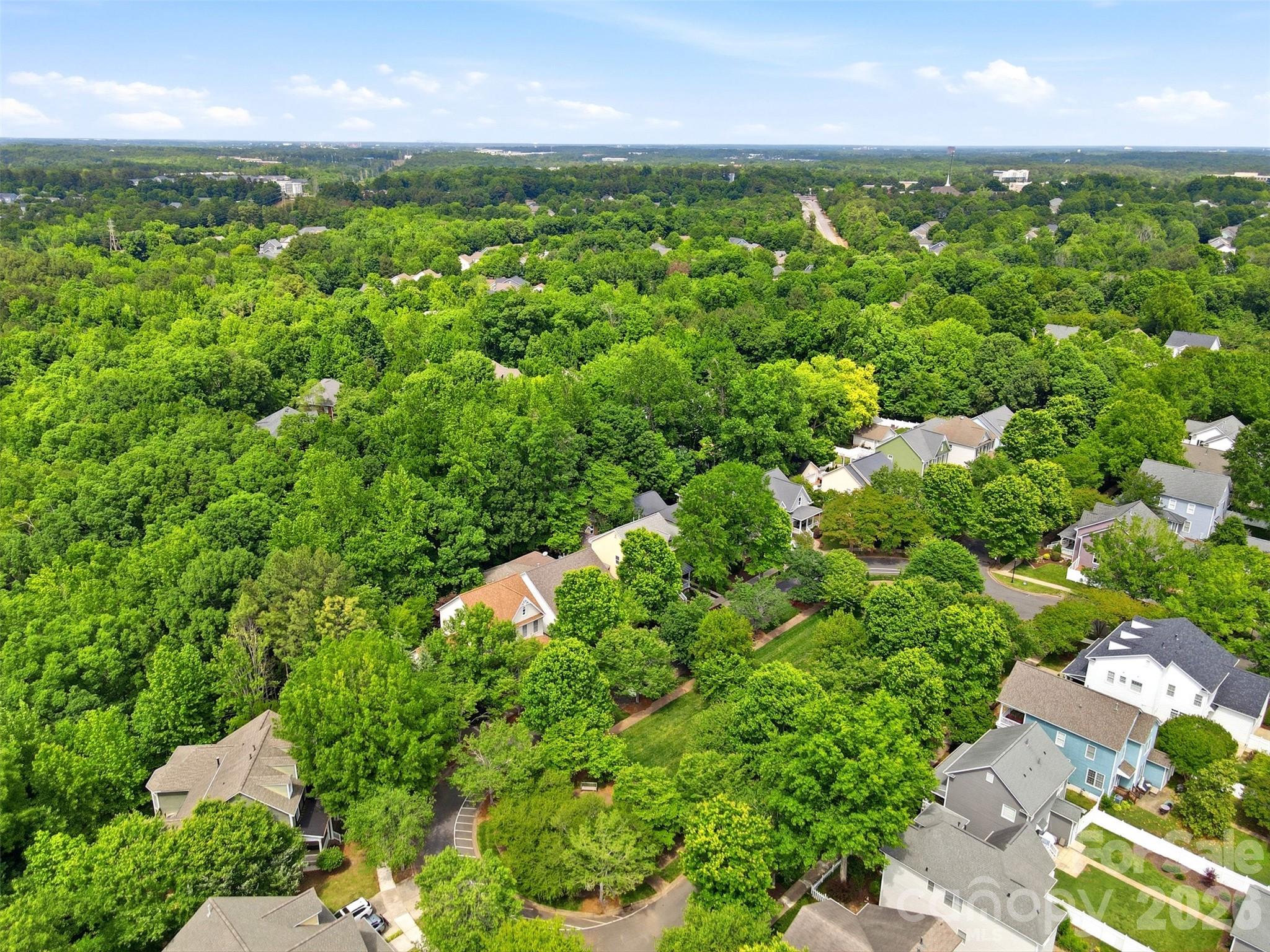 739 Julia Street, Fort Mill, SC - photo 44 of 49