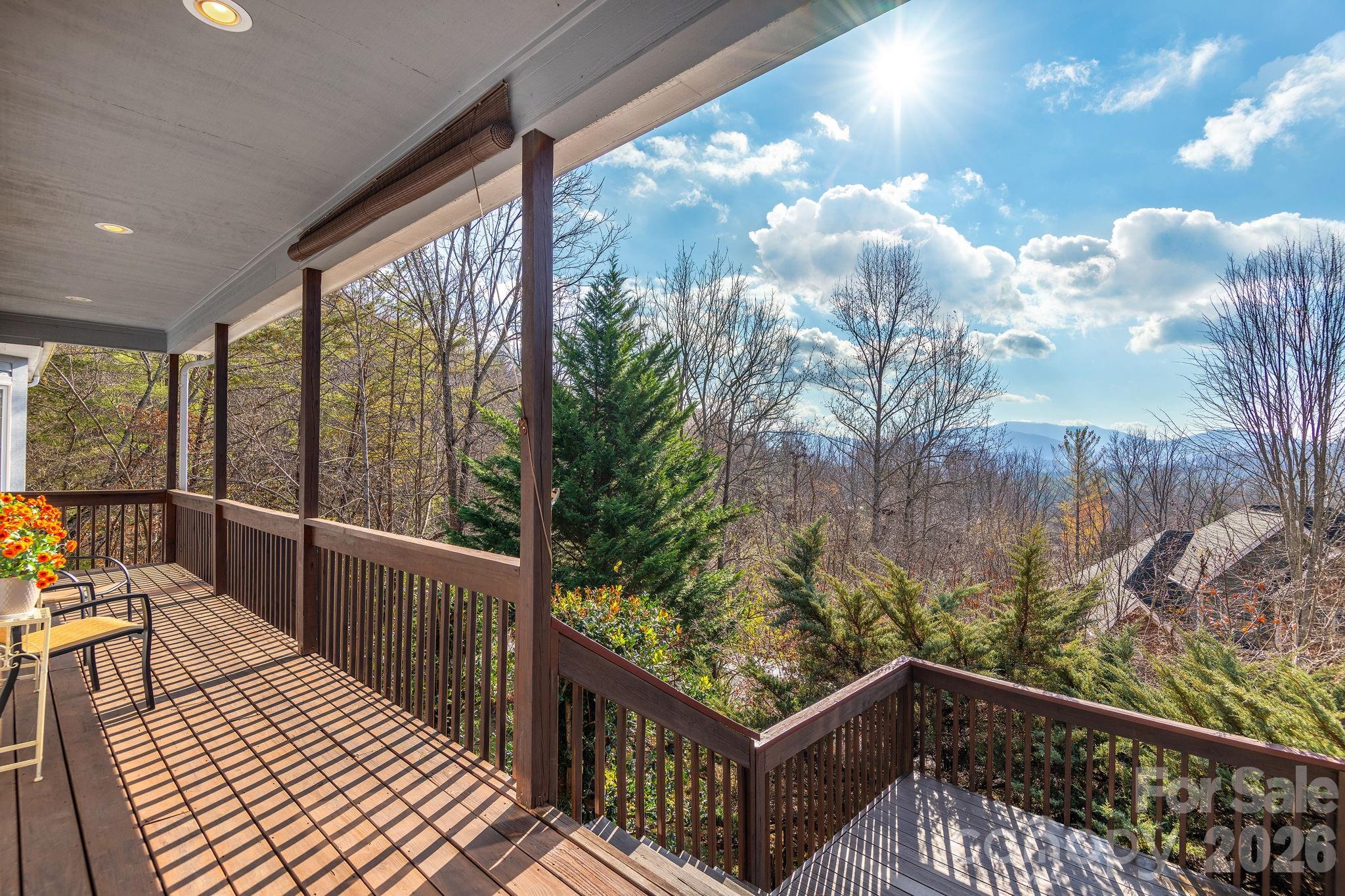 212 Blue Ridge Vista, Asheville, NC - photo 5 of 44