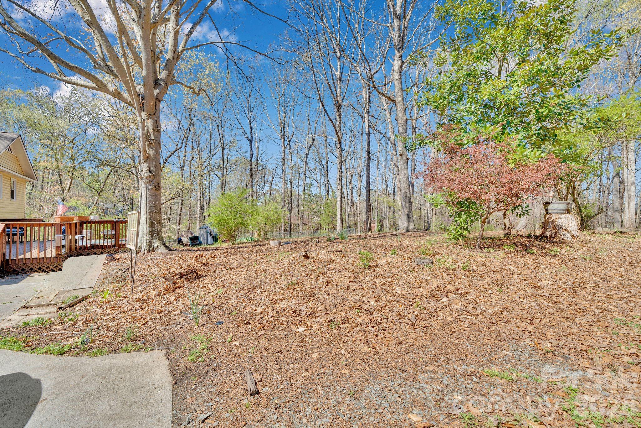 5317 Quail Ridge Drive, Mint Hill, NC - photo 39 of 43