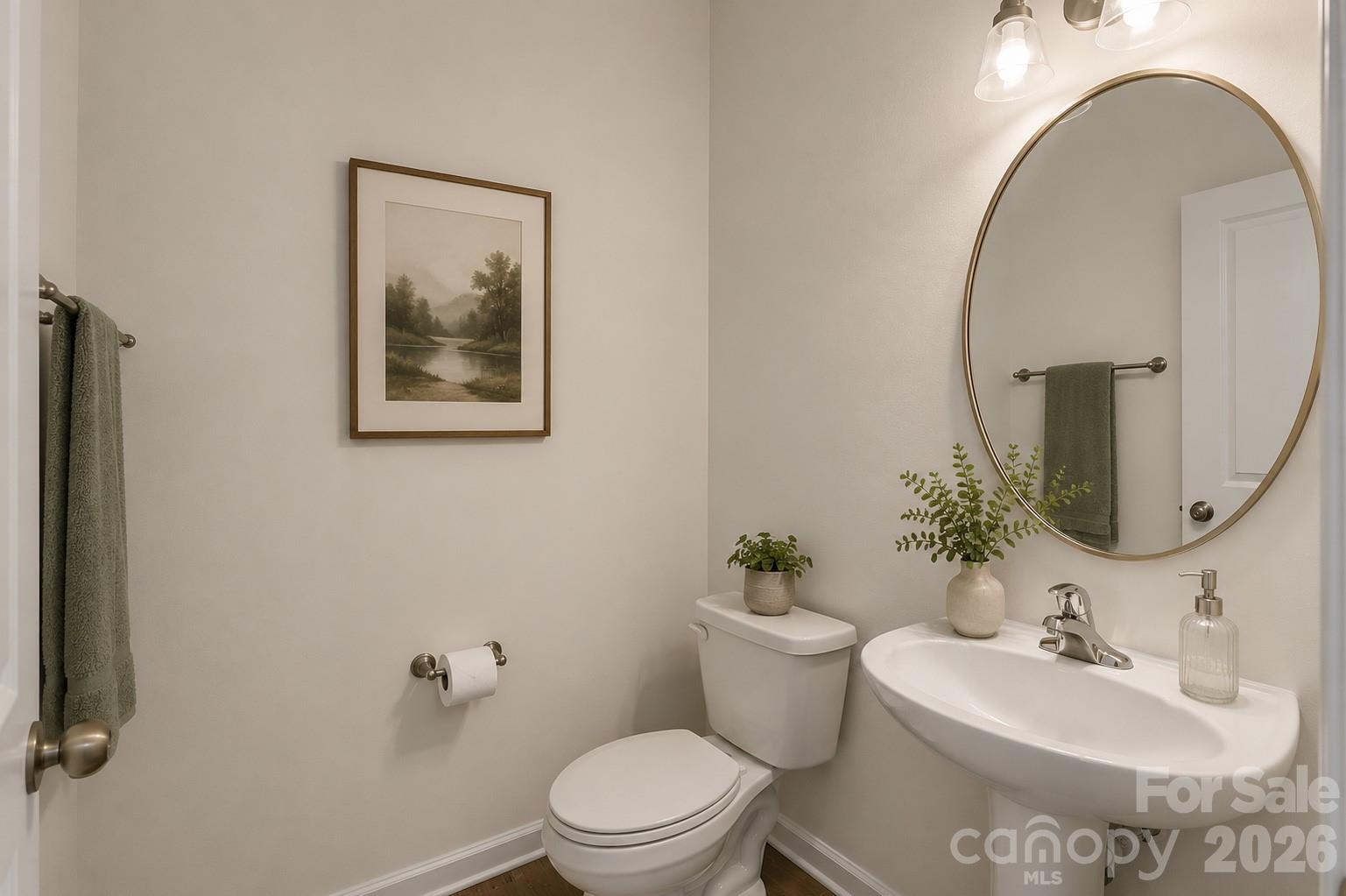 620 Amber Meadows Way, Tega Cay, SC - photo 5 of 29