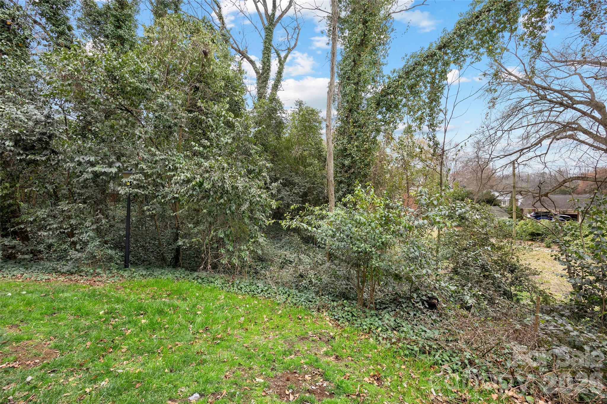1229 Lalex Lane, Charlotte, NC - photo 48 of 49