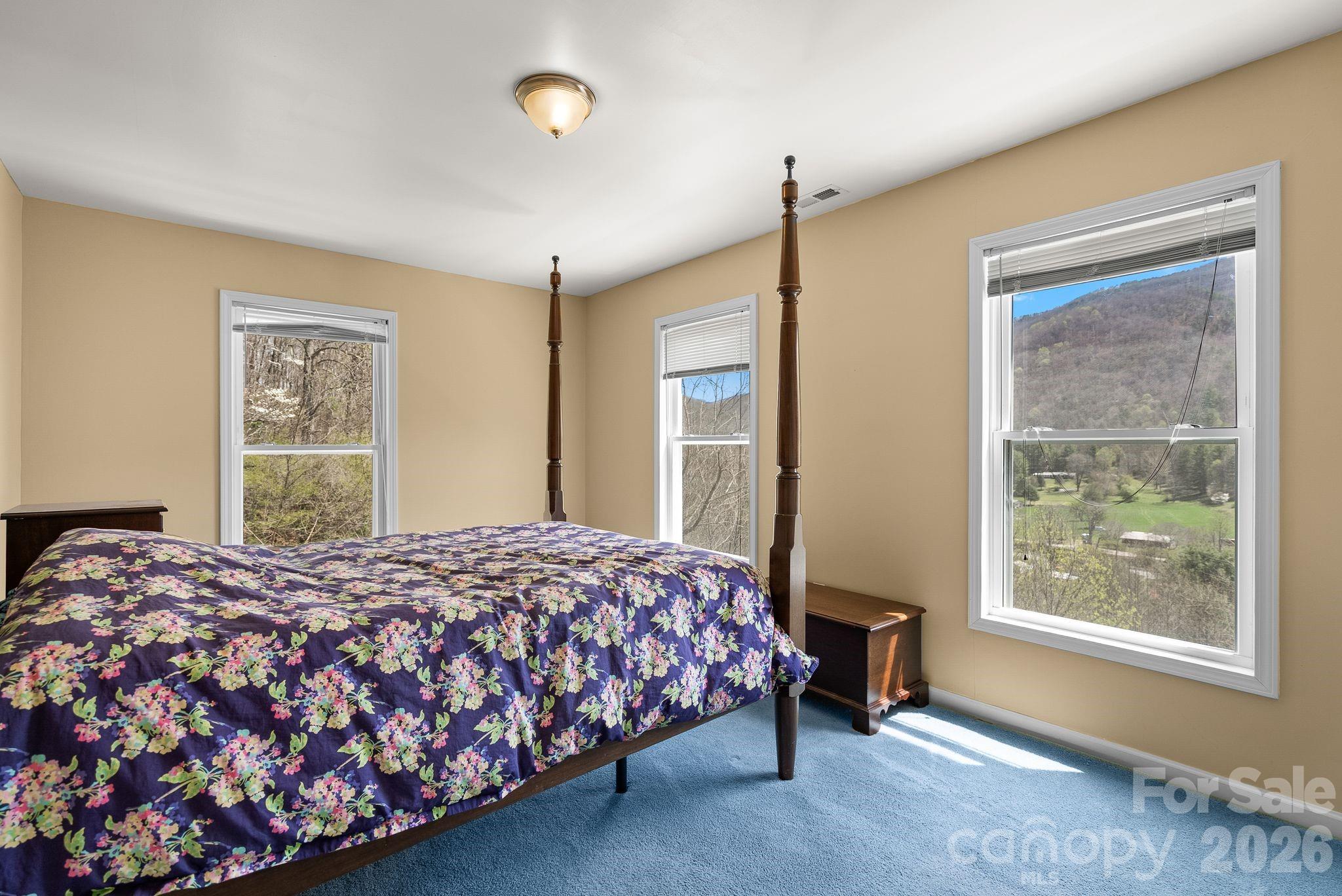 267 Eagles Trace, Canton, NC - photo 30 of 49