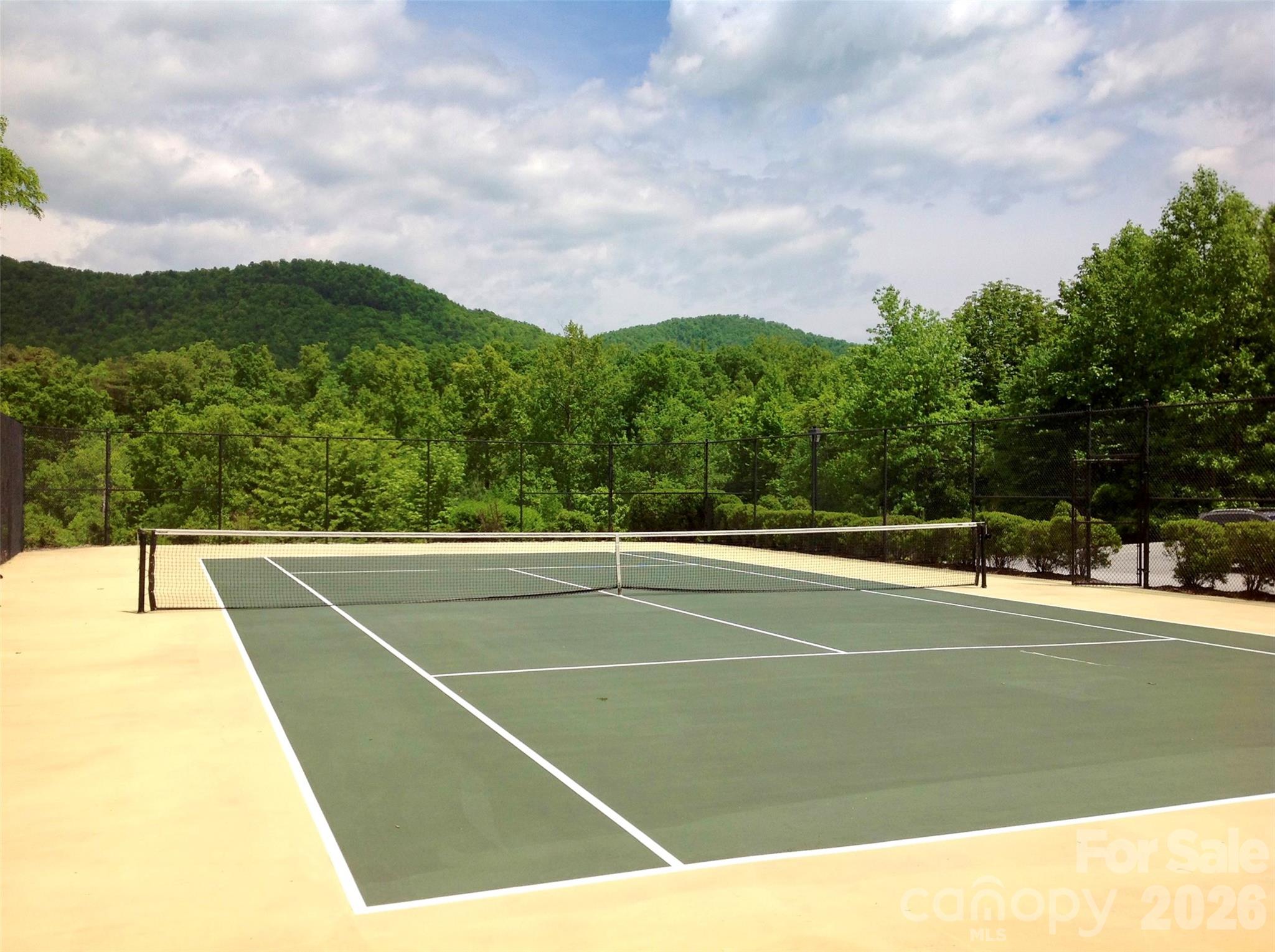 732 Streamside Drive, Arden, NC - photo 46 of 47