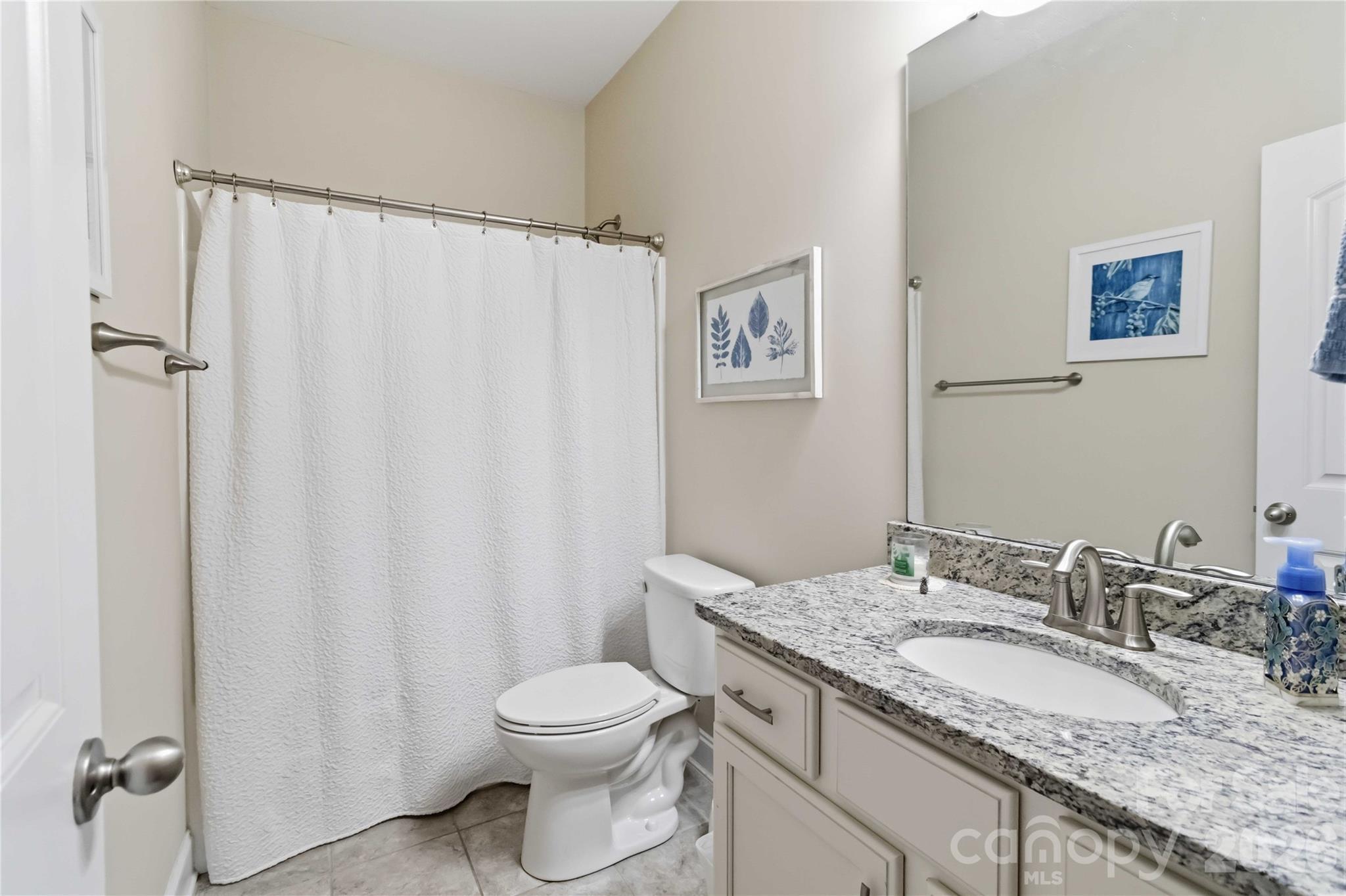 125 Annatto Way, Tega Cay, SC - photo 27 of 49