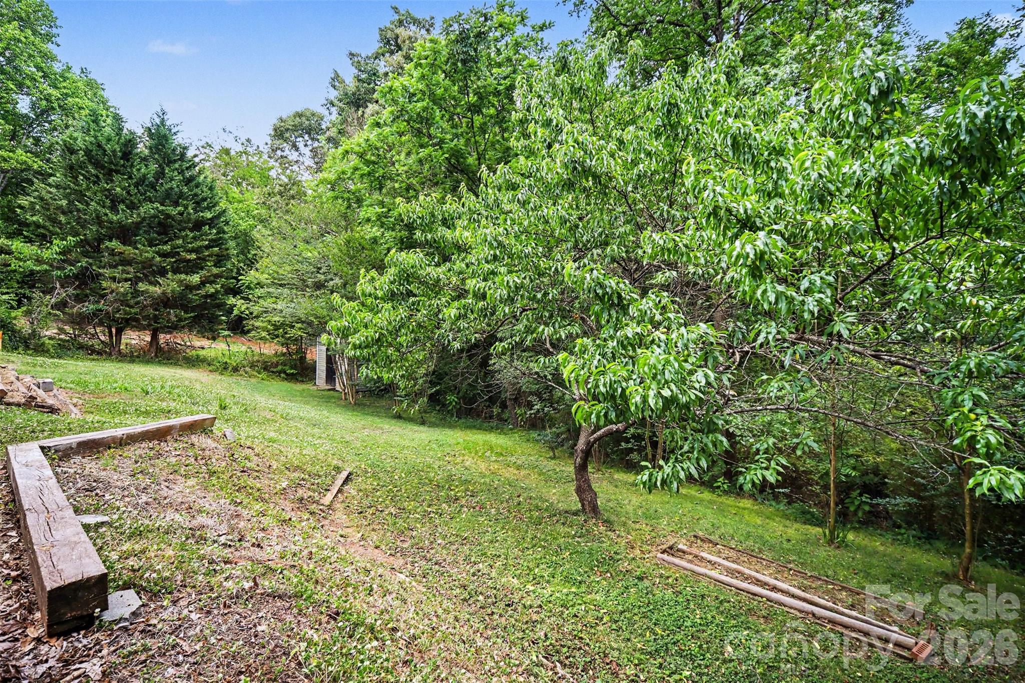 313 Oakland Avenue, Belmont, NC - photo 25 of 28