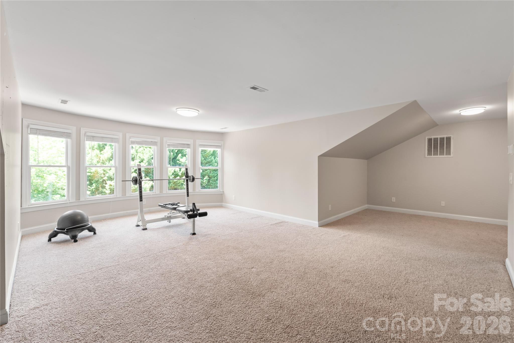 25017 Stonekirk Lane, Fort Mill, SC - photo 32 of 49