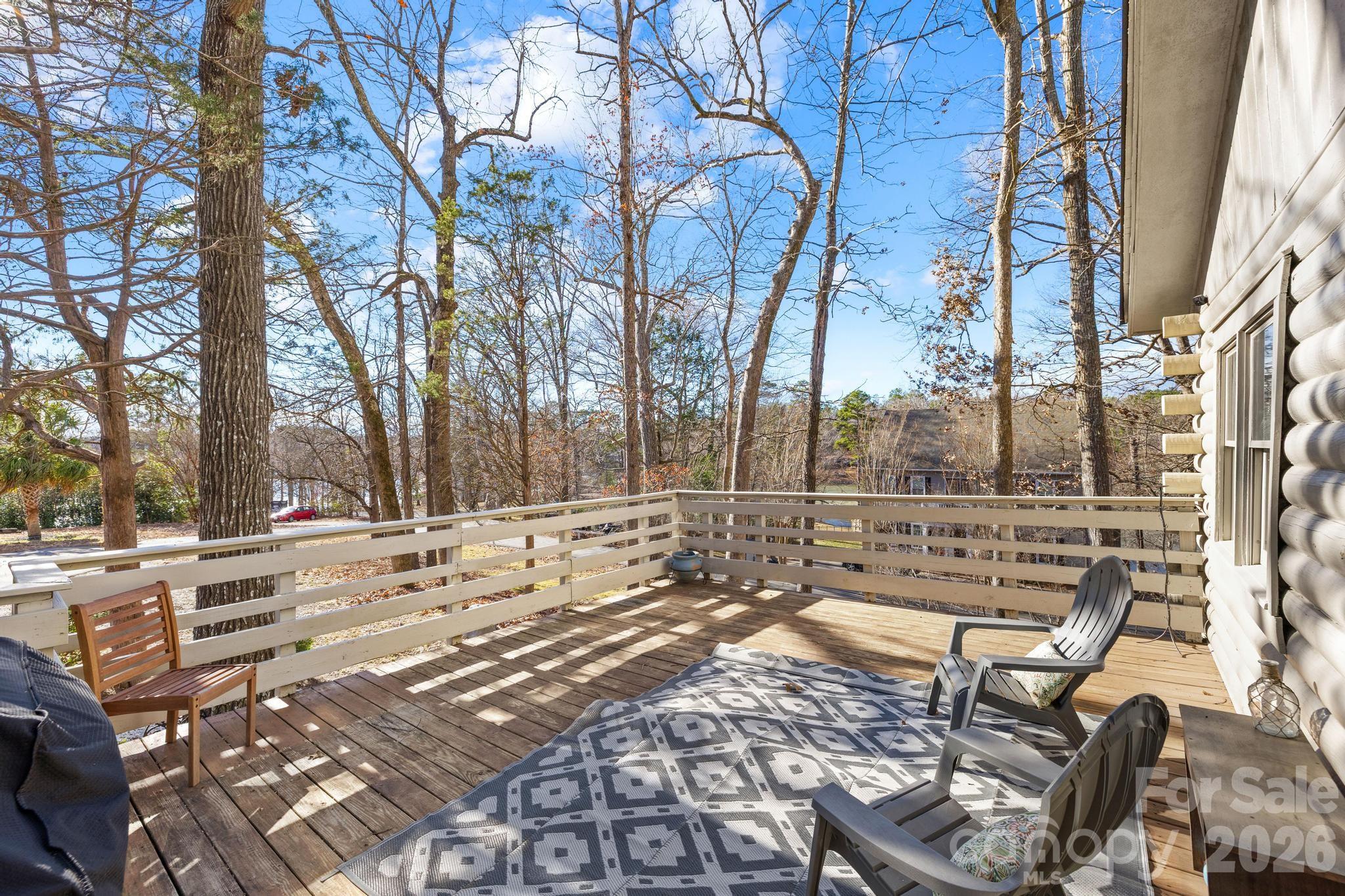 294 Carroll Cove, Clover, SC - photo 3 of 49