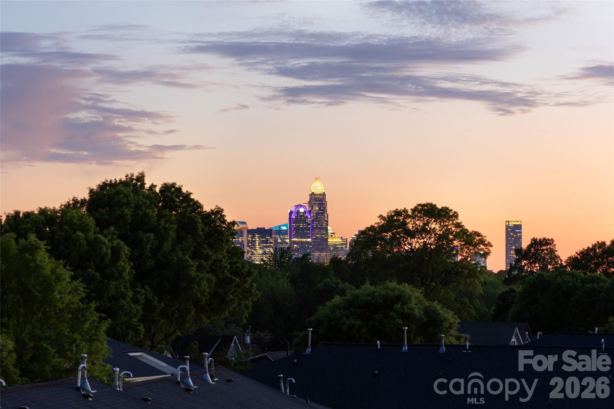 Photo 14 of 3630 N Davidson Street4407, Charlotte, NC