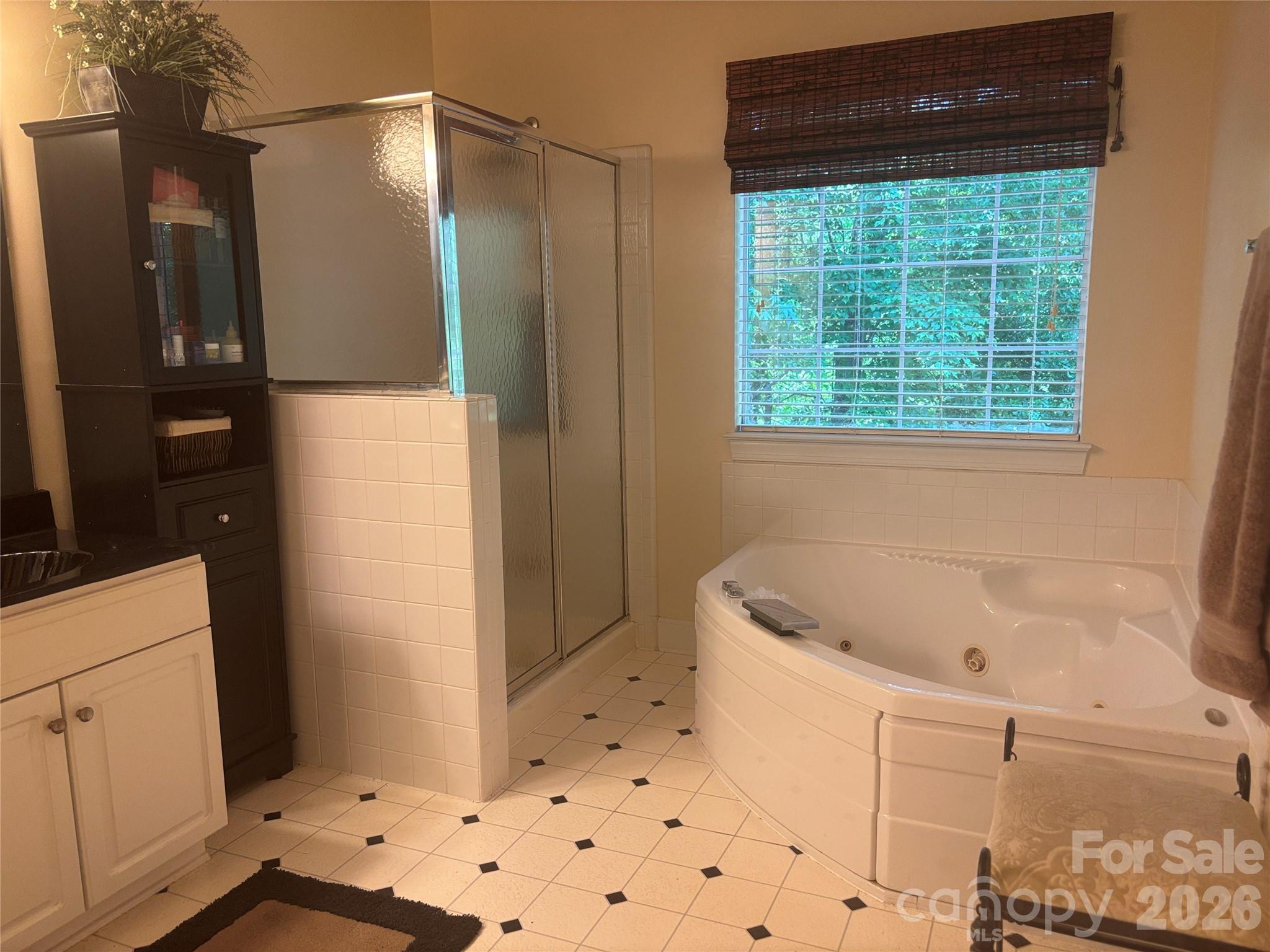Photo 10 of 6116 Robley Tate Court, Charlotte, NC