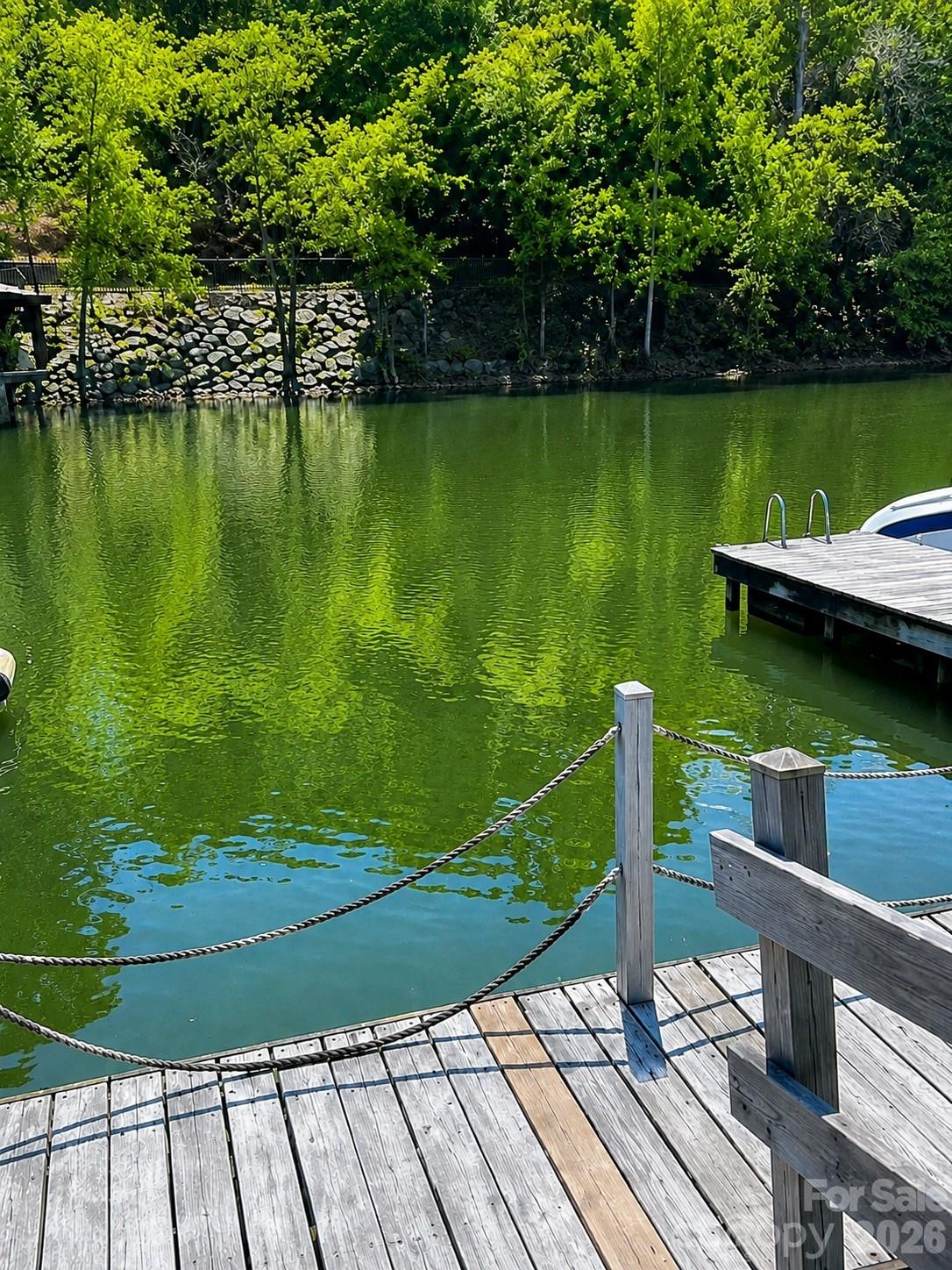 Photo 34 of 26049 Neptunes Landing, Tega Cay, SC
