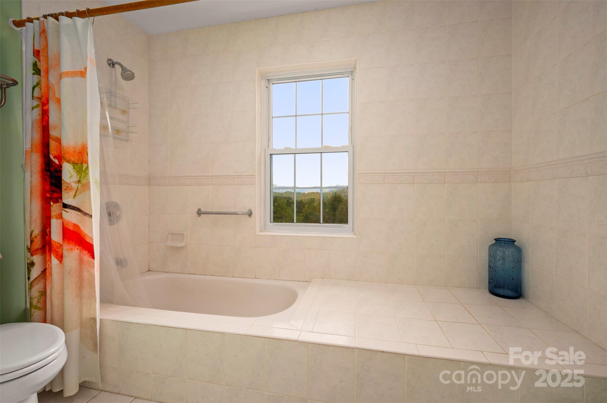 167 Balfour Drive, Rutherfordton, NC - photo 35 of 49