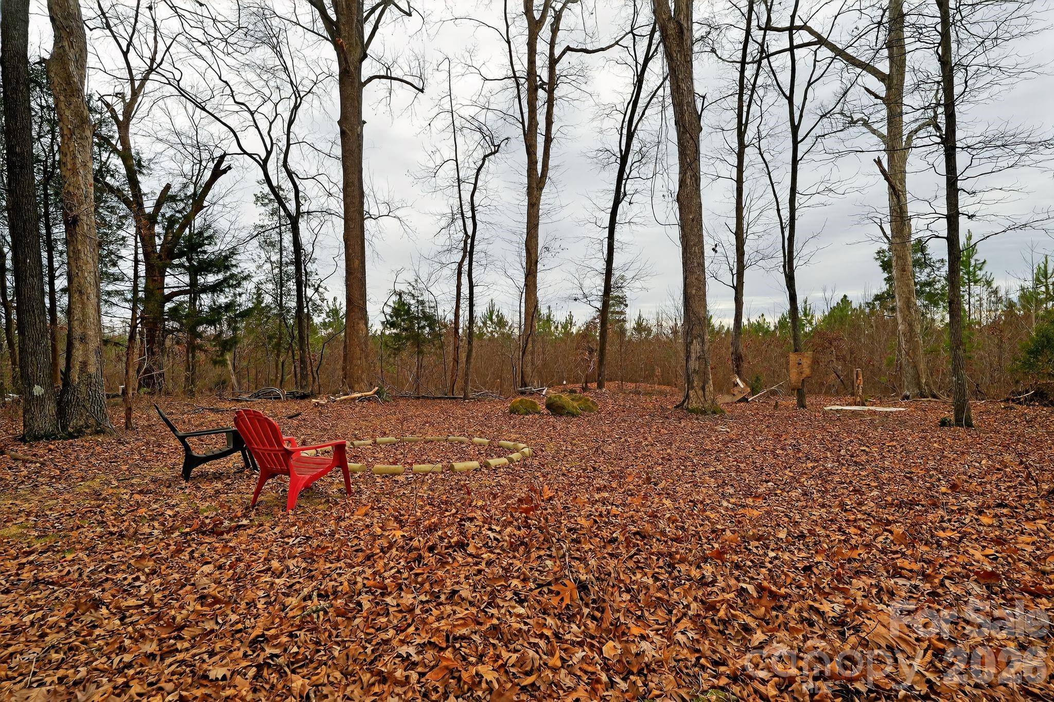 Photo 4 of 115 Red fox Court58, Mount Holly, NC